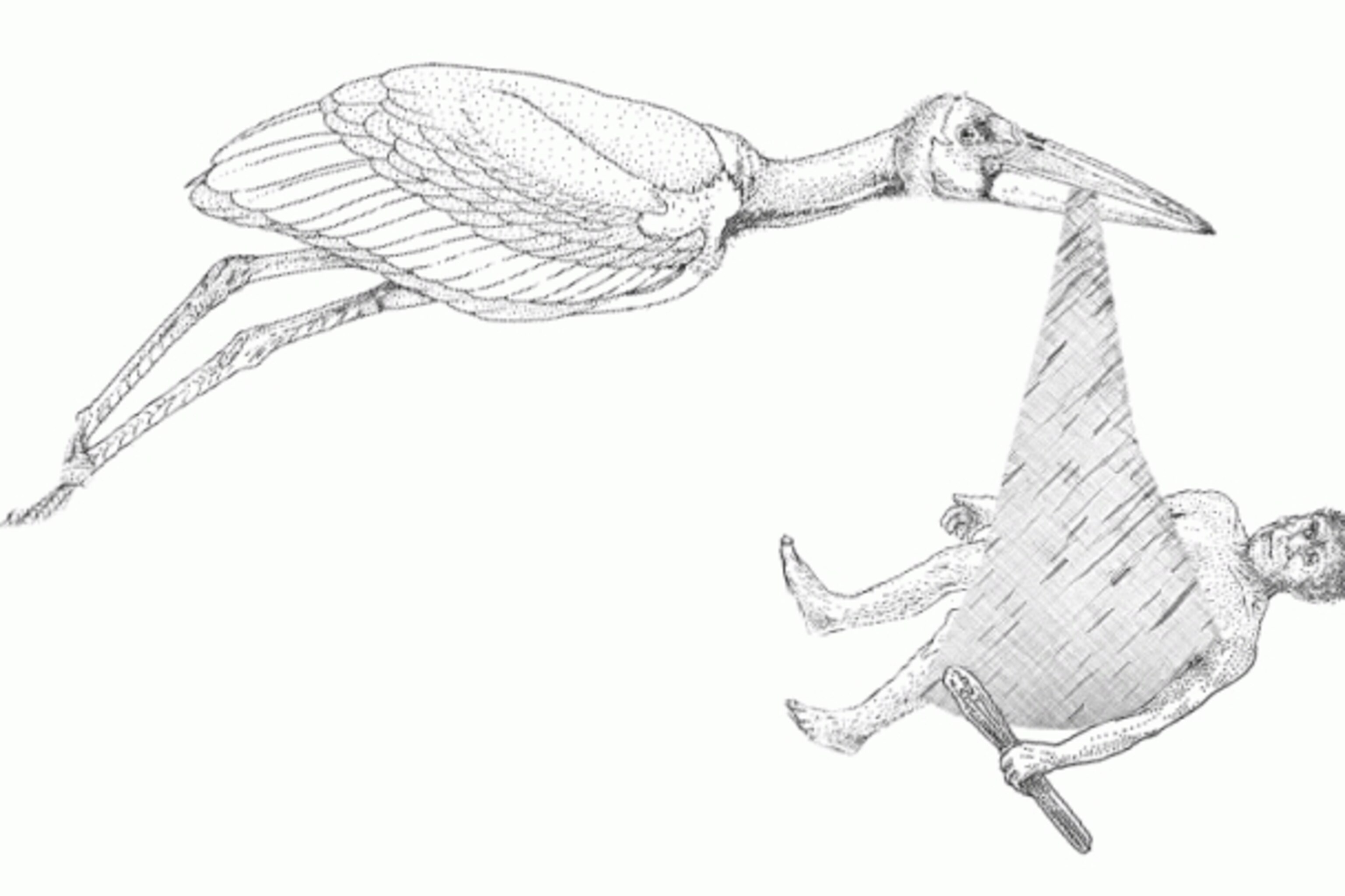 Legend of the Killer Storks