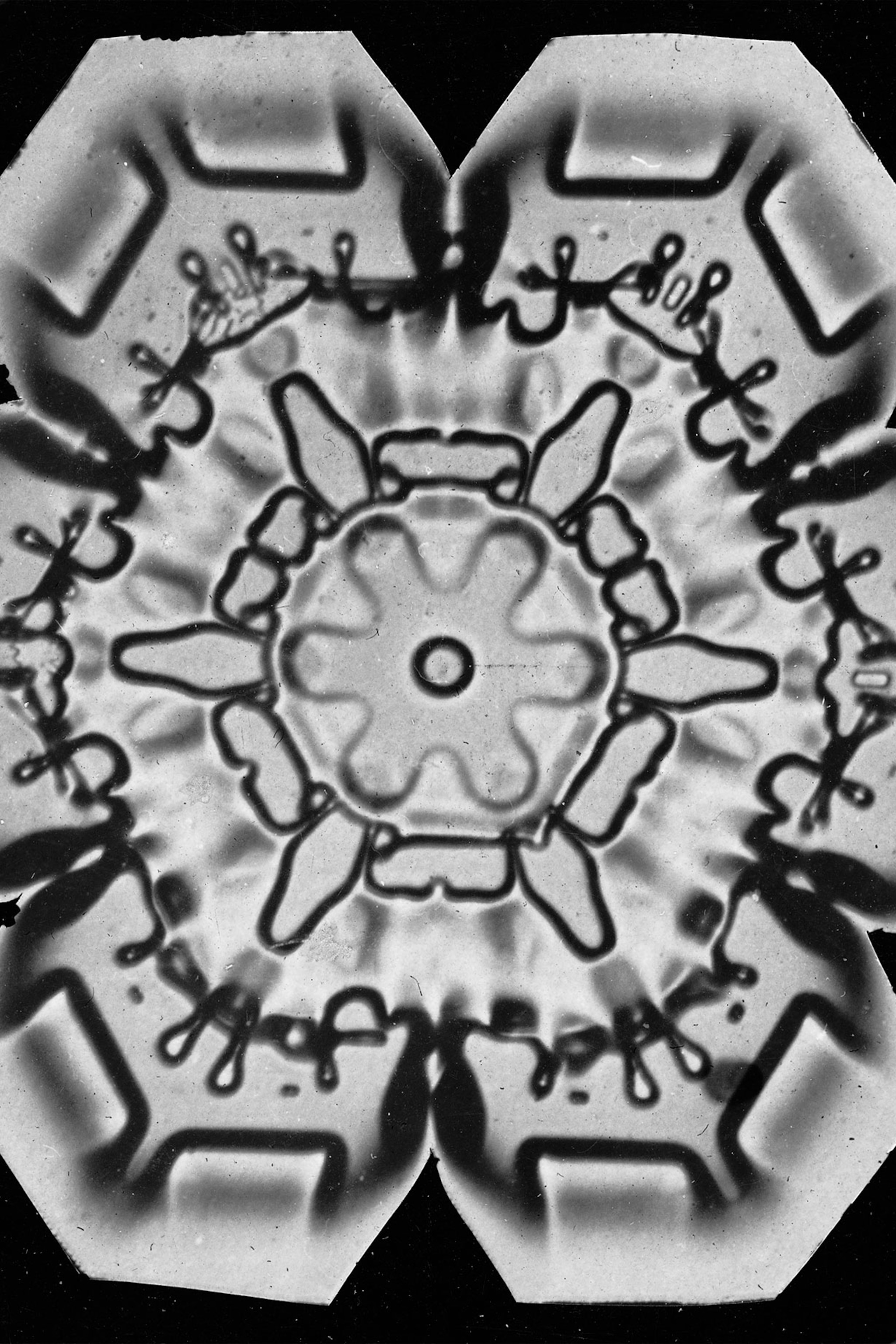 Snowflakes Under Electron Microscope