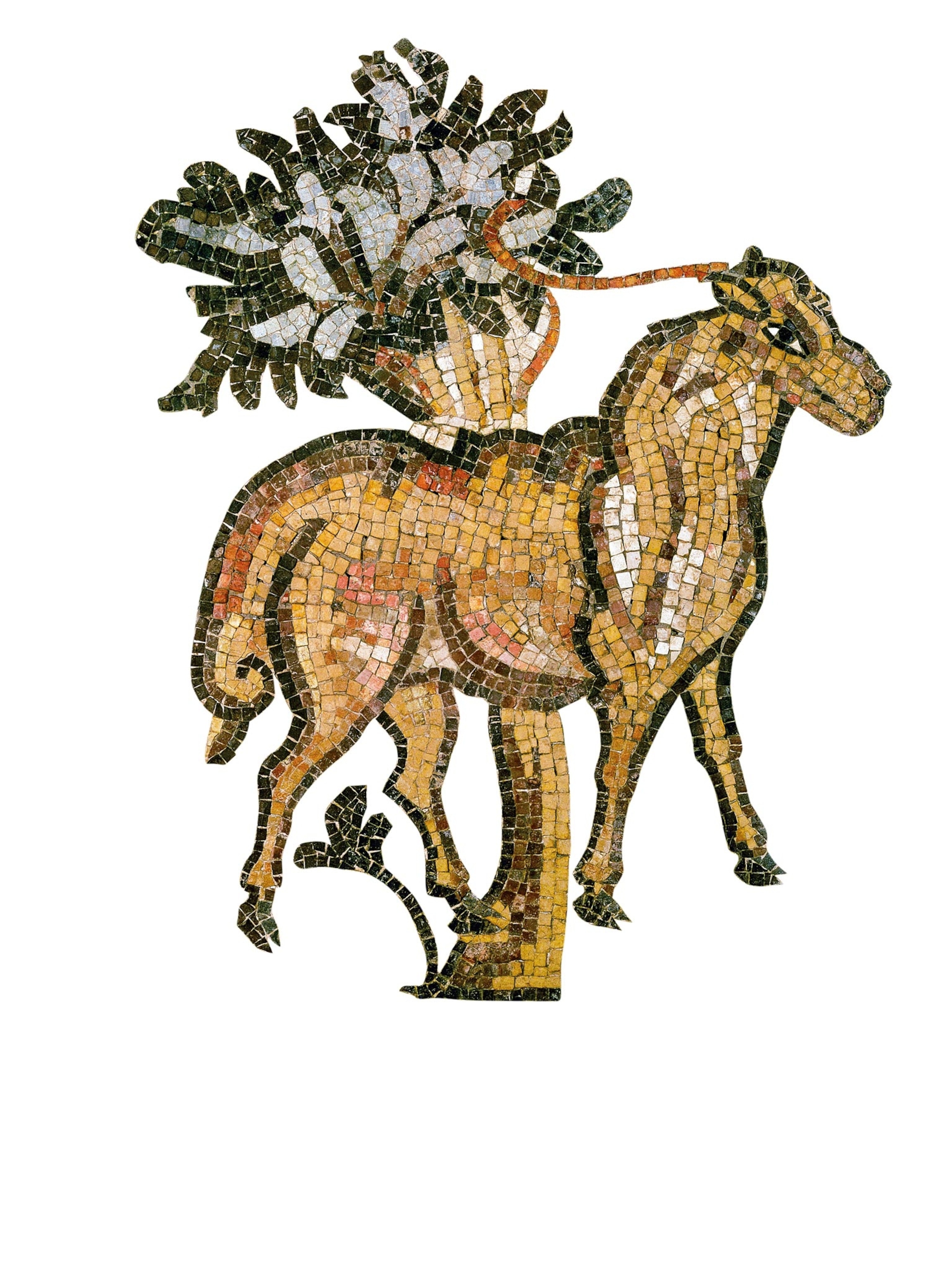 The Madaba mosaic is the oldest map of the Holy Land