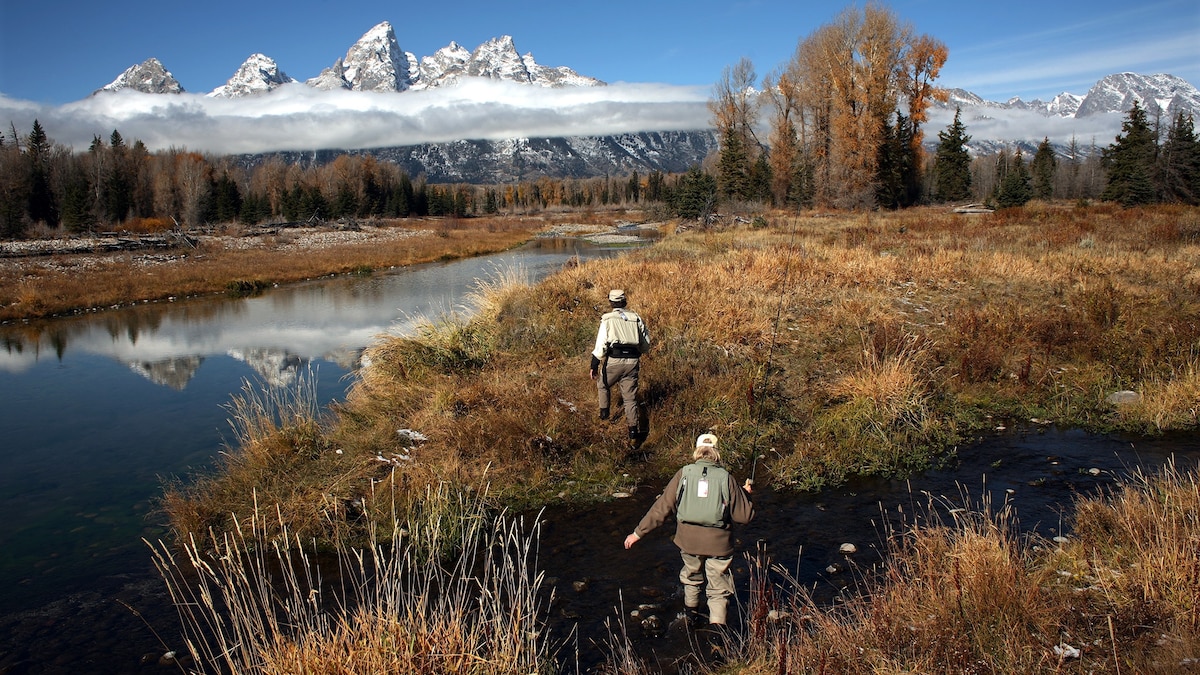 Excellent Grand Teton National