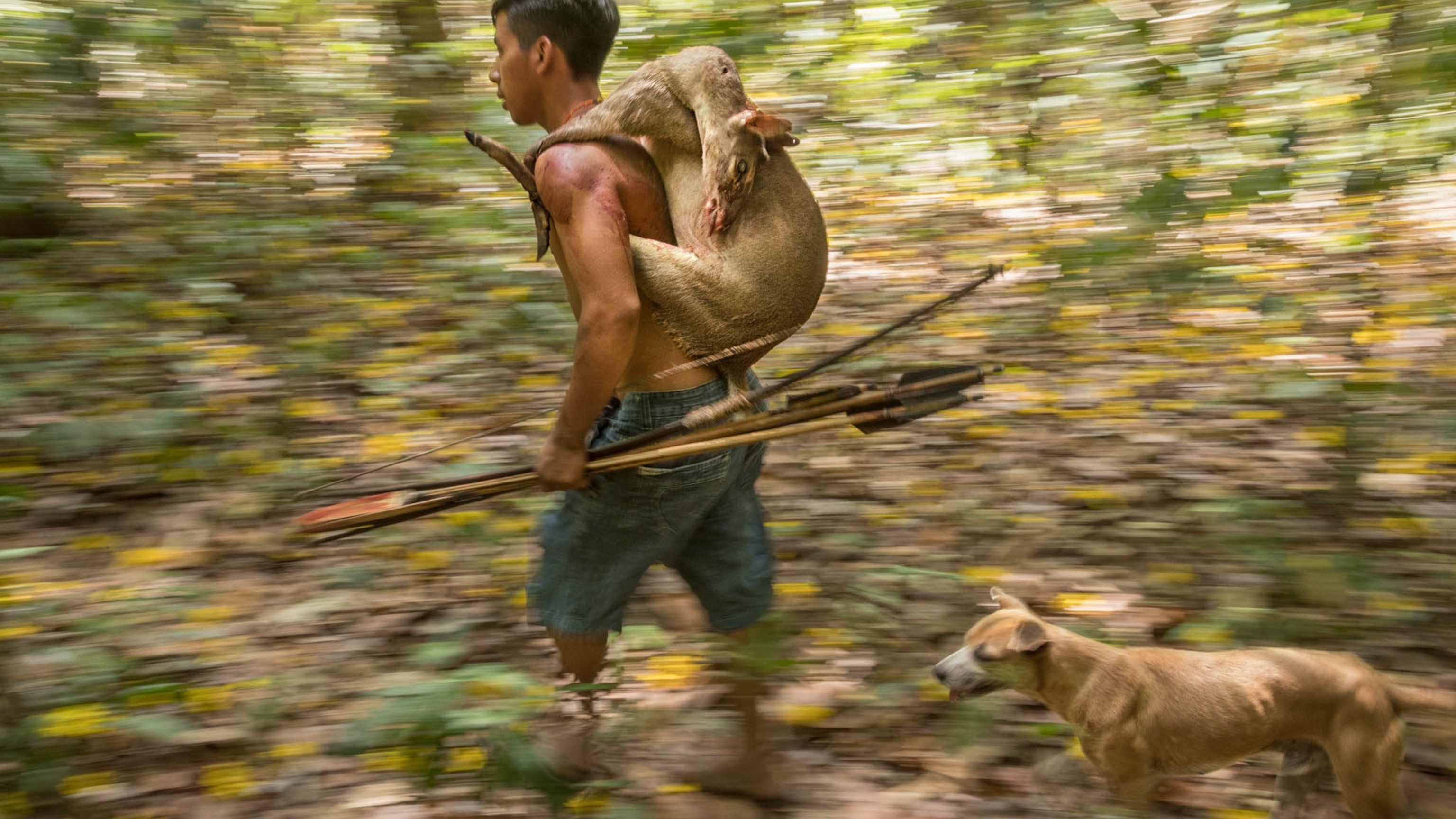 Jungle People Hunting