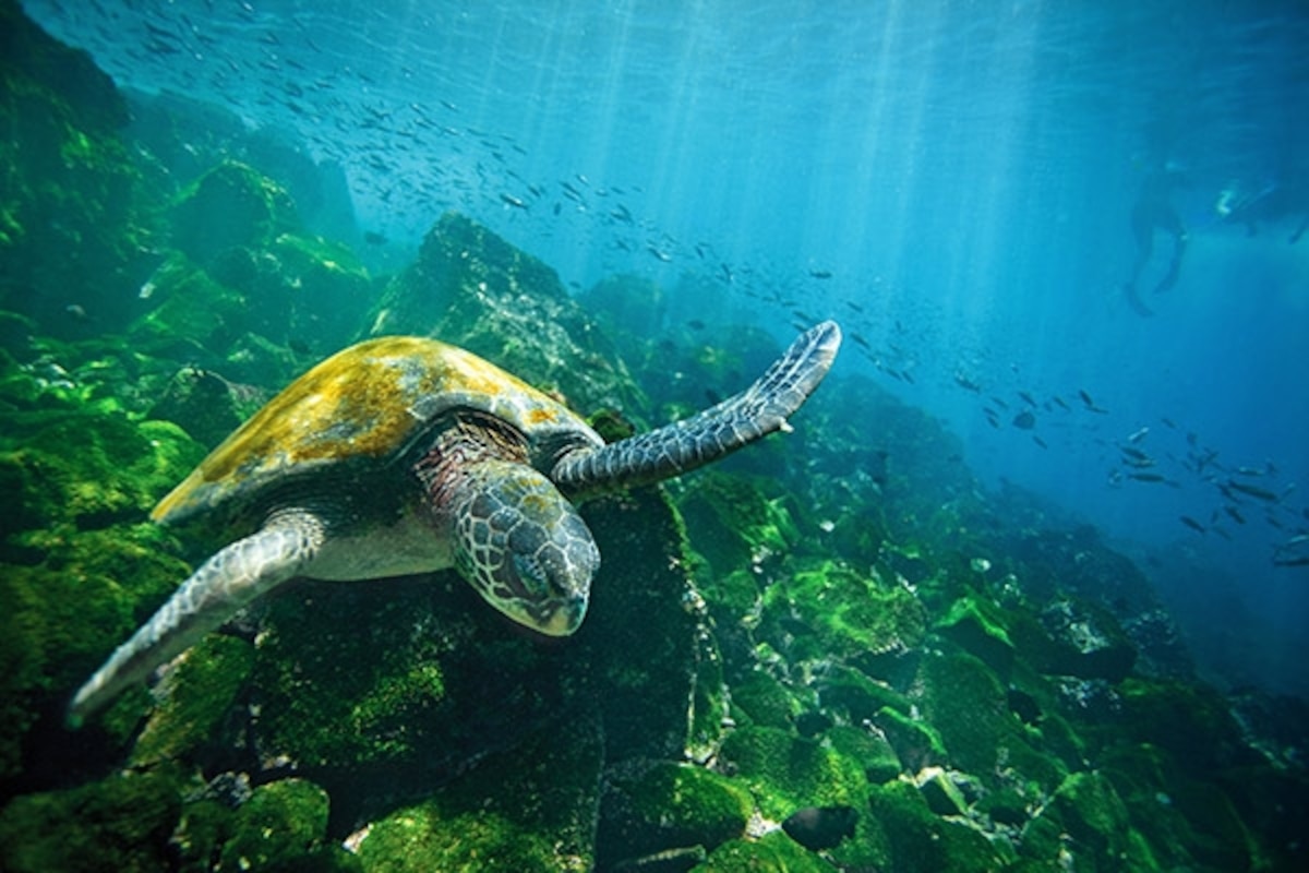 Galápagos Islands UNESCO World Heritage Site