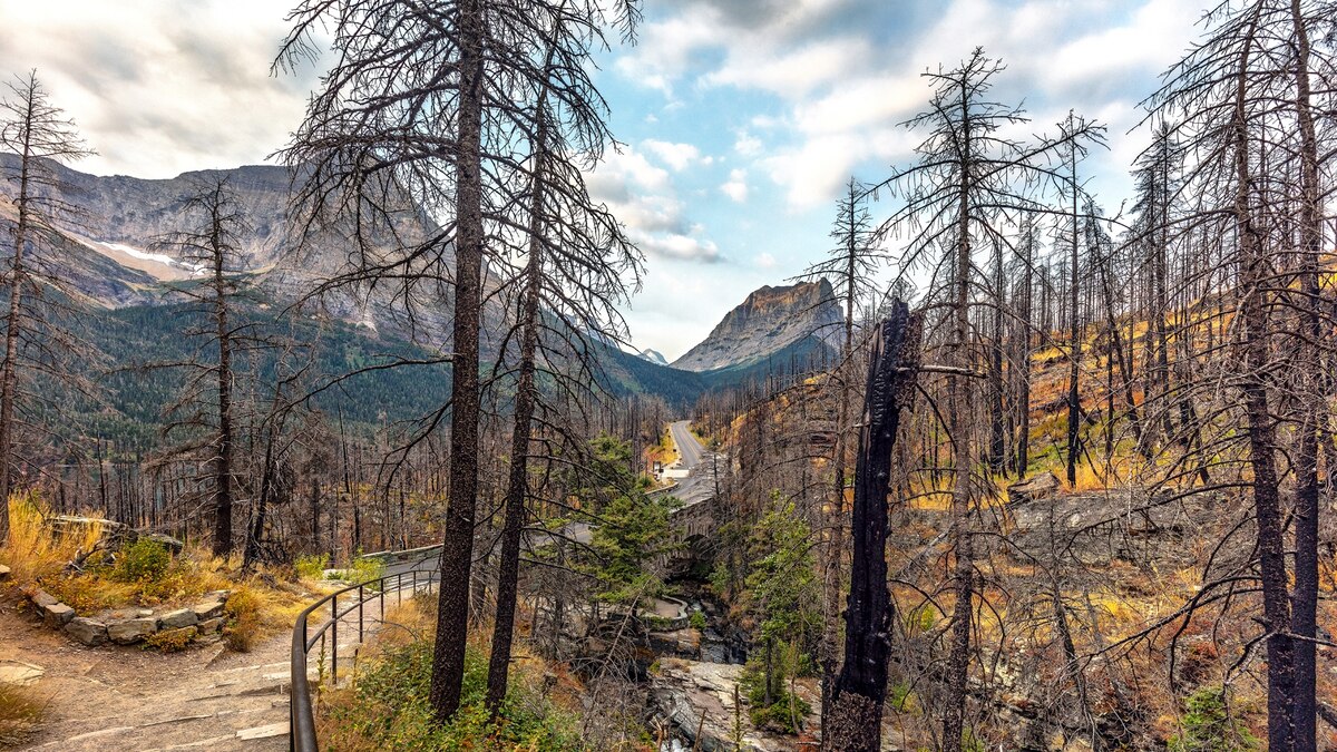 Wildfires show how climate change is transforming national parks ...