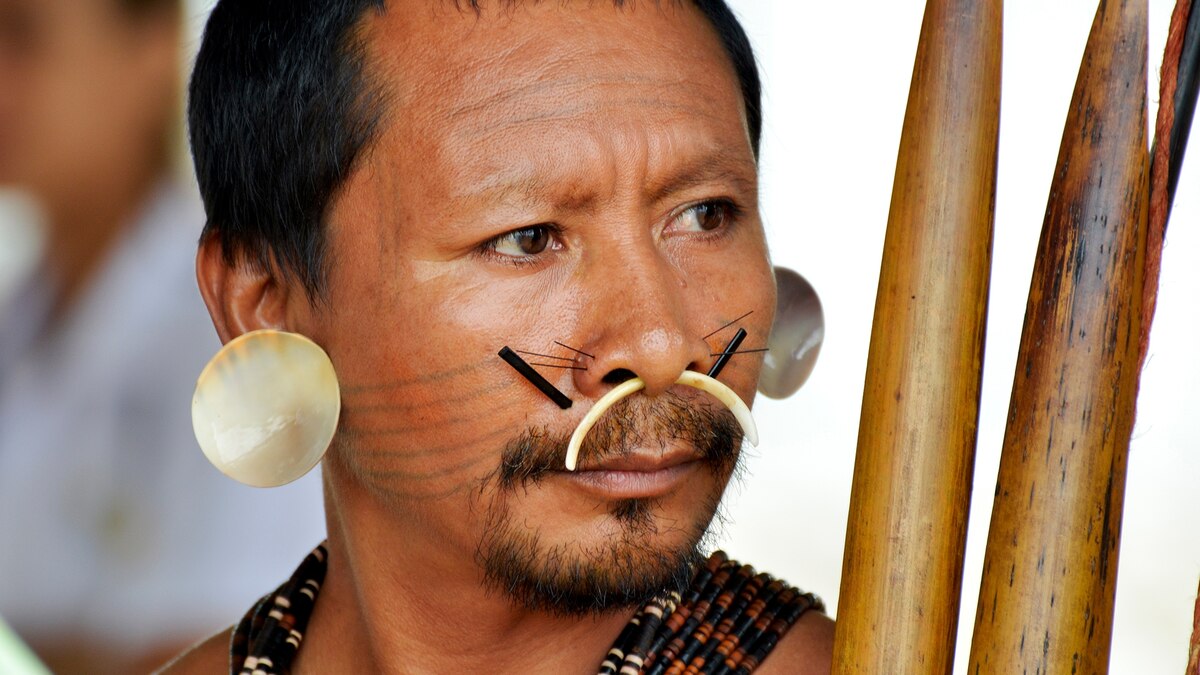 Renowned Shaman's Death by Snakebite Exposes Health Care Crisis in ...