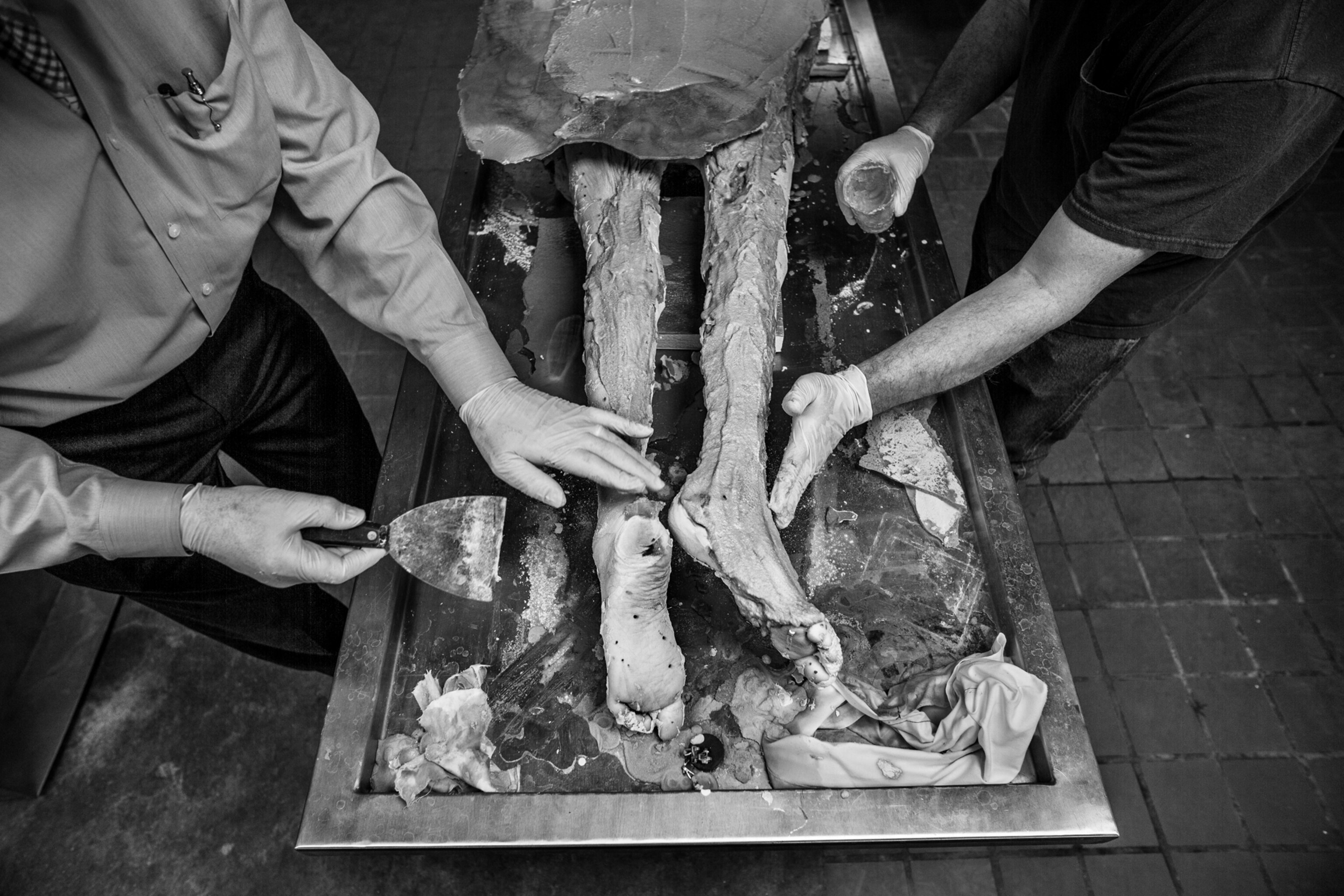 Susan Potter gave her body to science. Her cadaver became immortal.