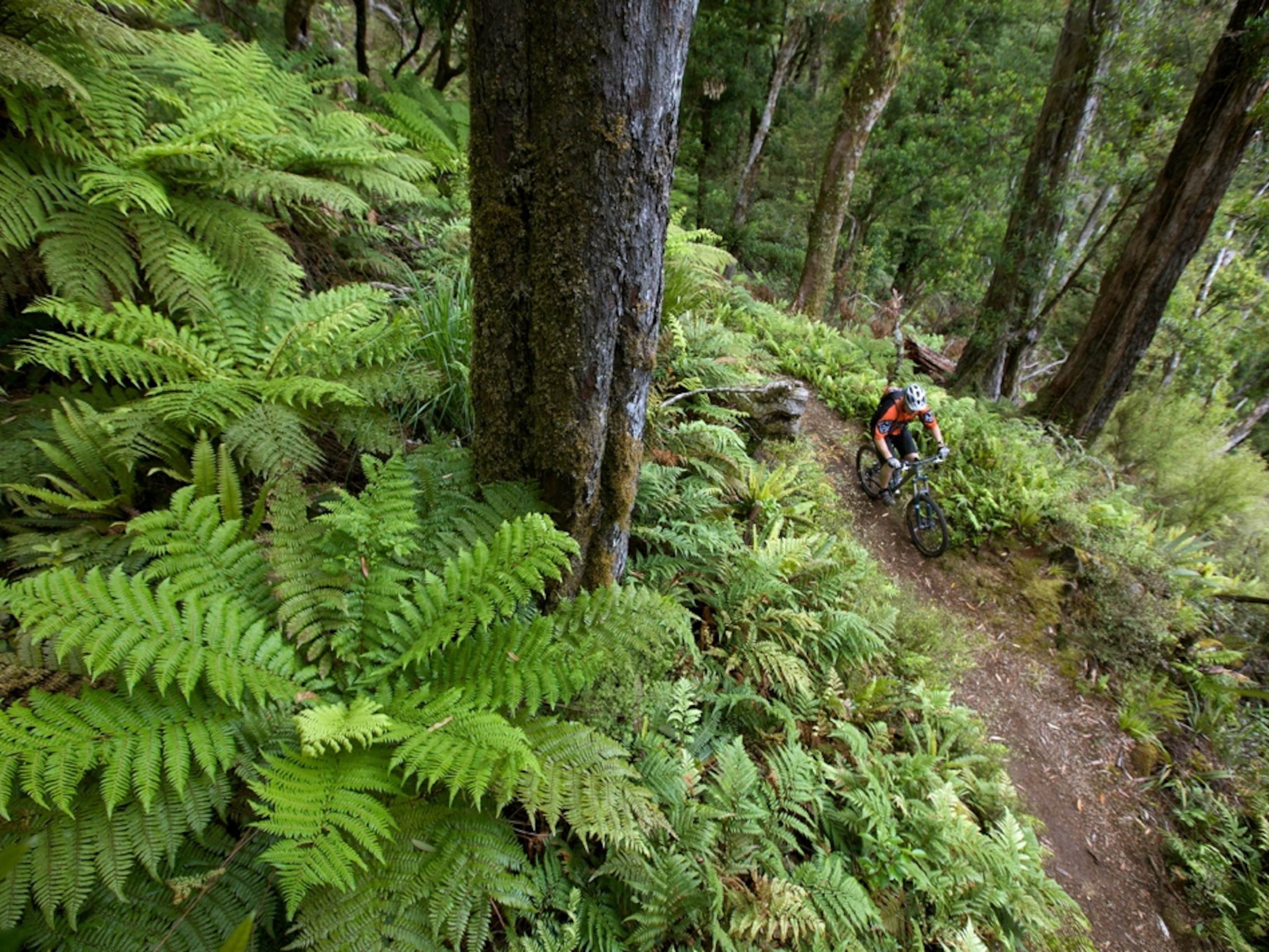 Ultimate Adventure Bucket List - Mountain Bike New Zealand -- National ...