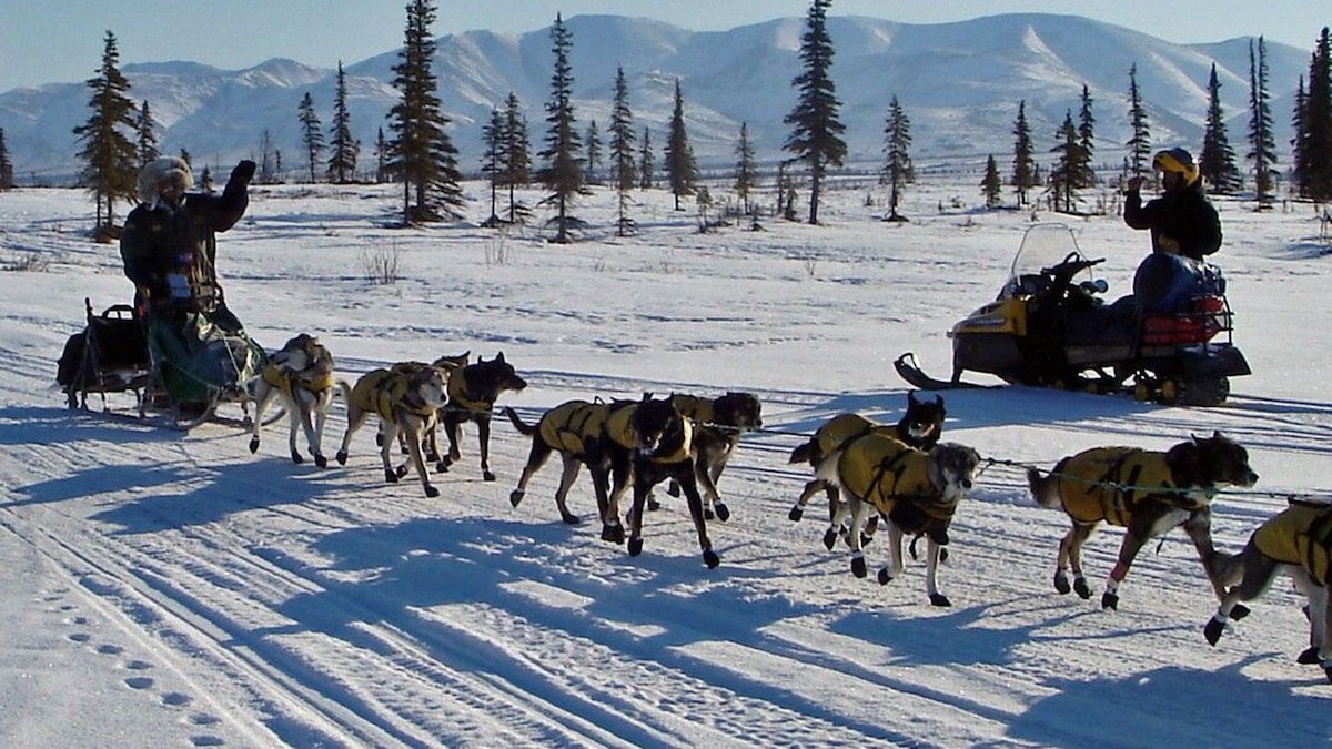 5 Of The World s Toughest Physical Challenges 5-of-the-world-s-toughest-physical-challenges