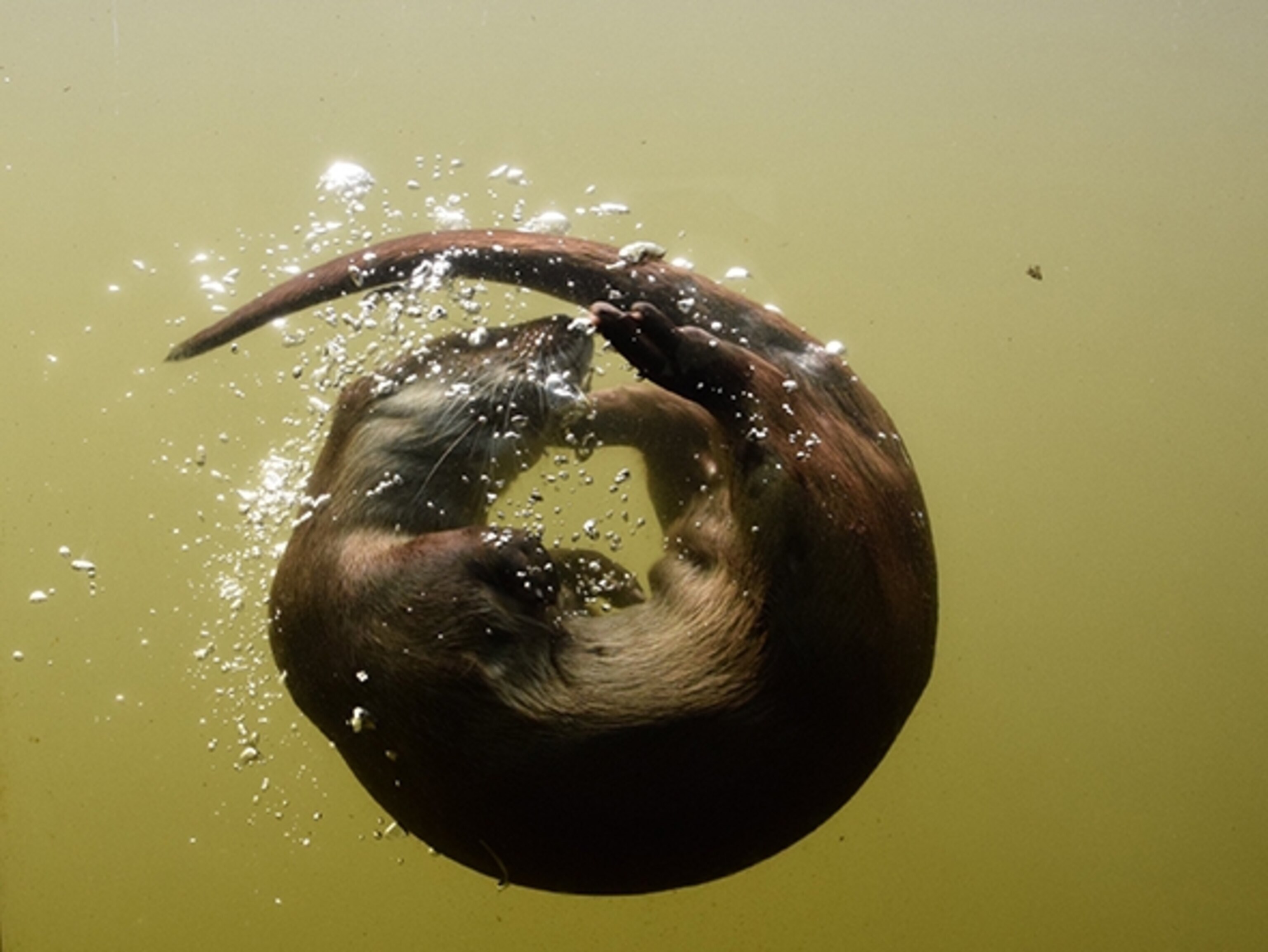 Deadline Alert: @NatGeoTravel Photo Contest