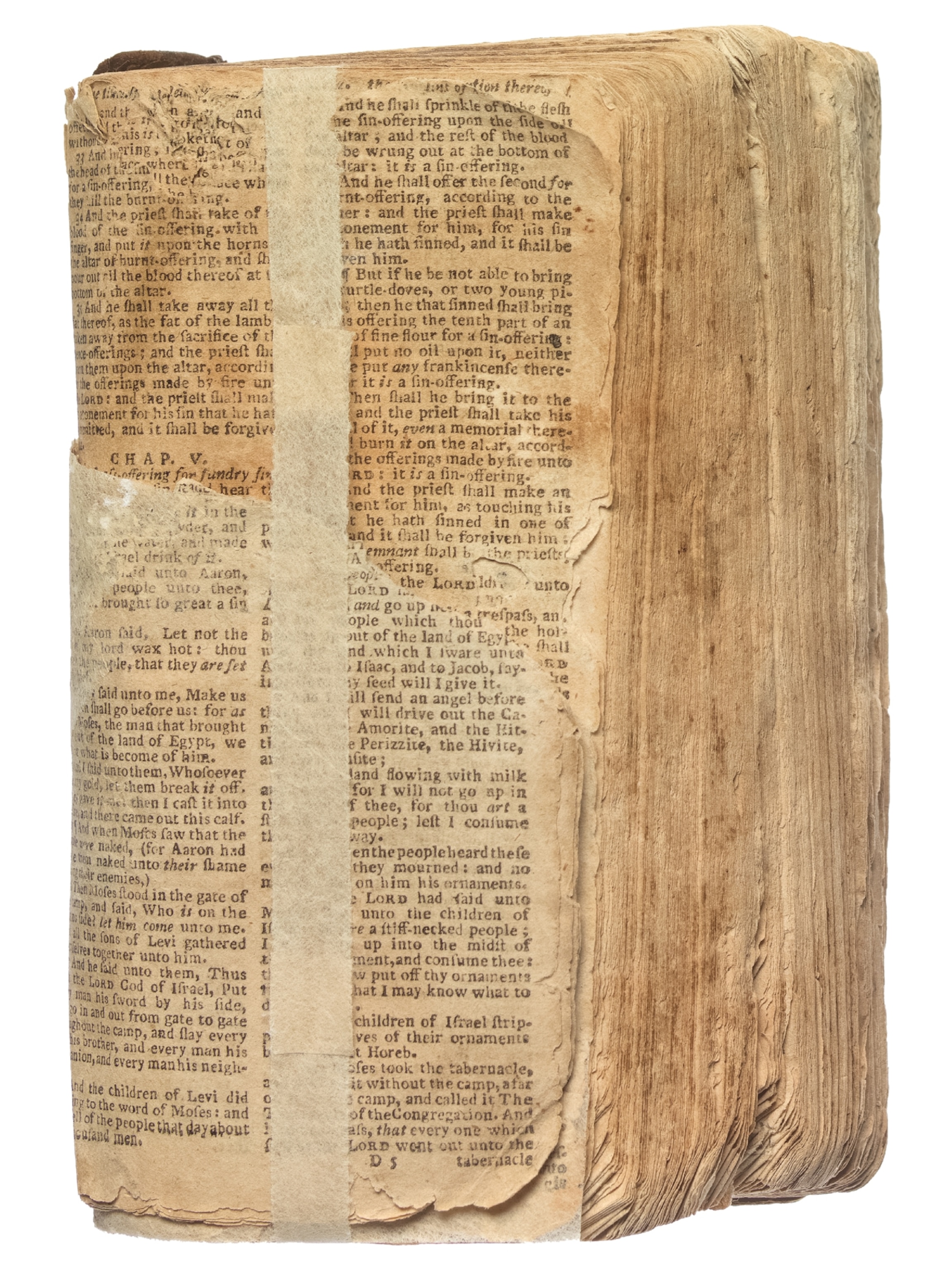 Finding the Bones of Nat Turner, American Rebel