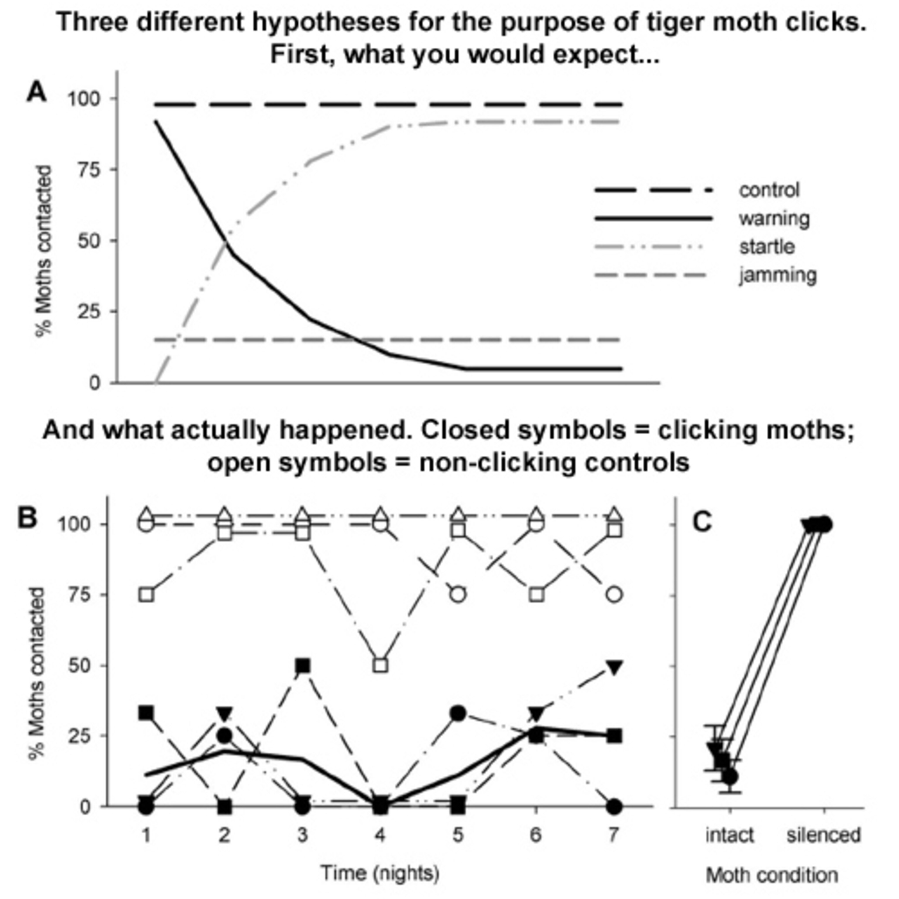Tiger moths jam the sonar of bats
