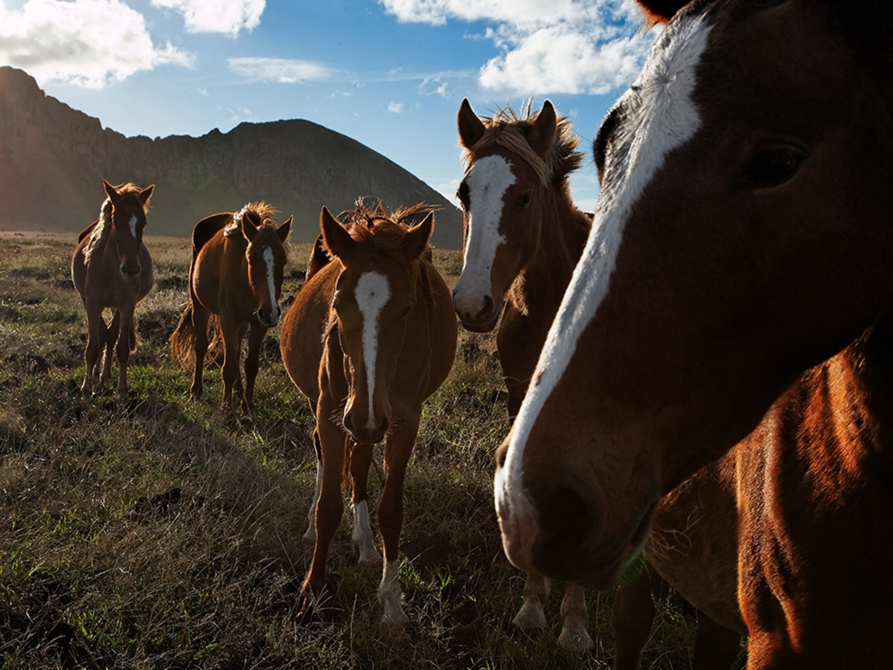 A Guide to Easter Island, Chile