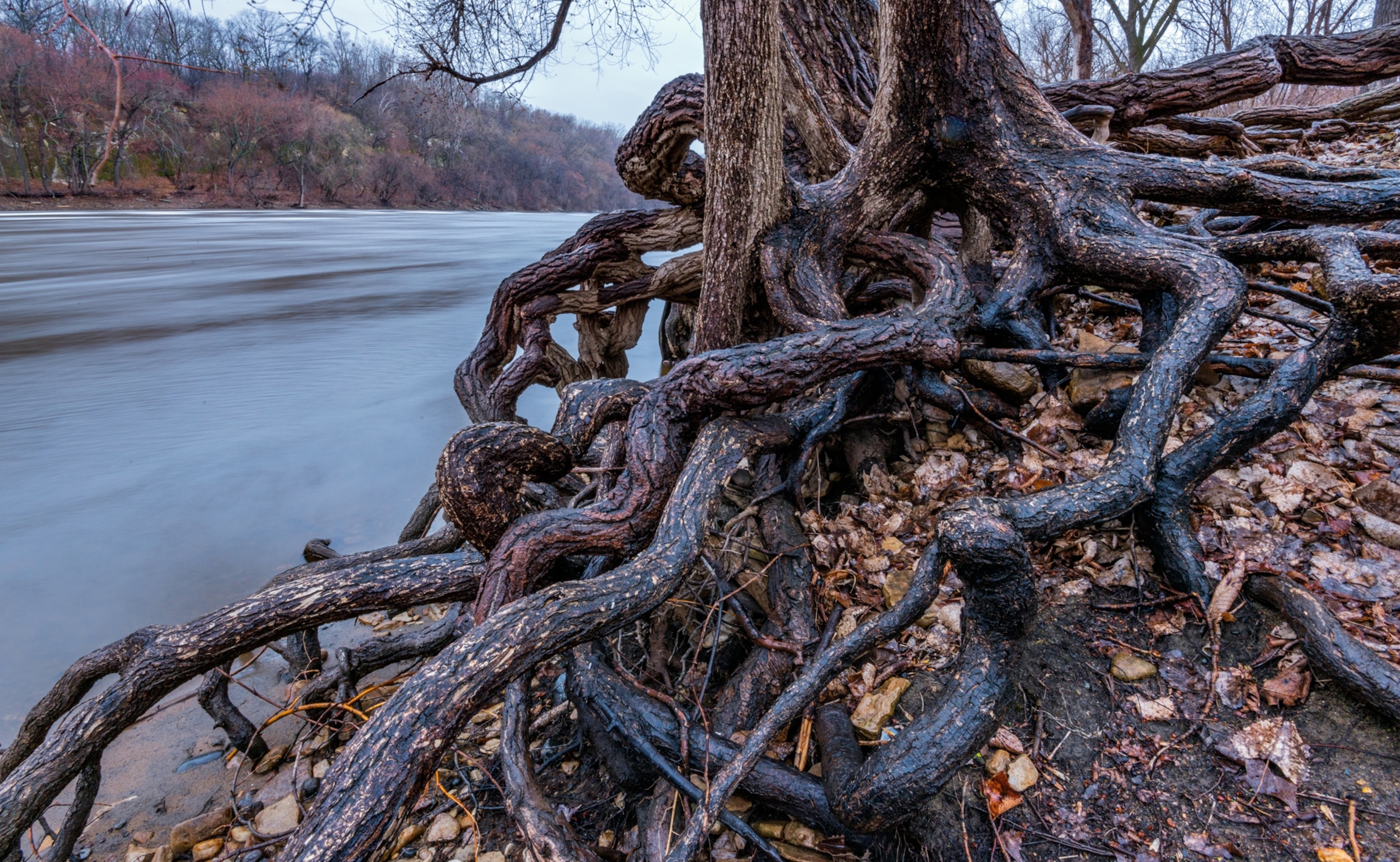 Pictures of the Spring Landscape in Minnesota | National Geographic