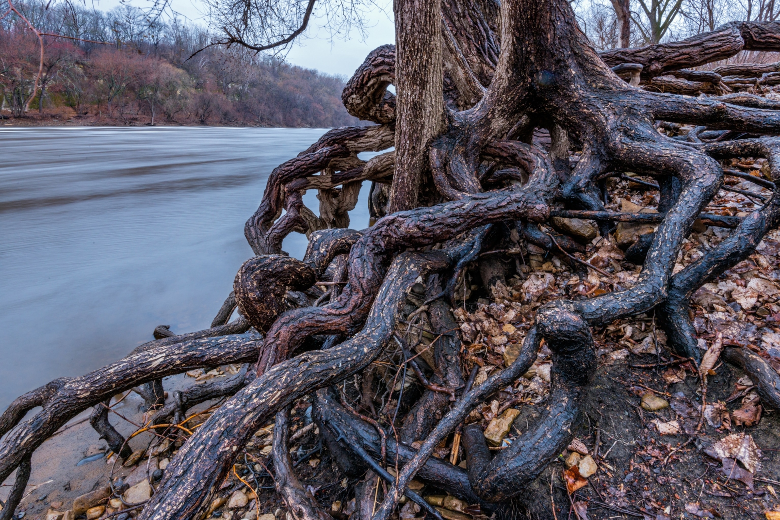 Pictures of the Spring Landscape in Minnesota