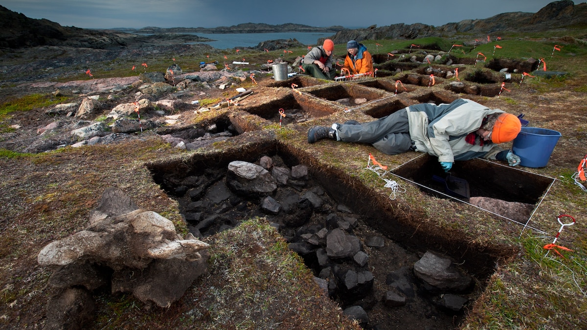Evidence of Viking Outpost Found in Canada | National Geographic