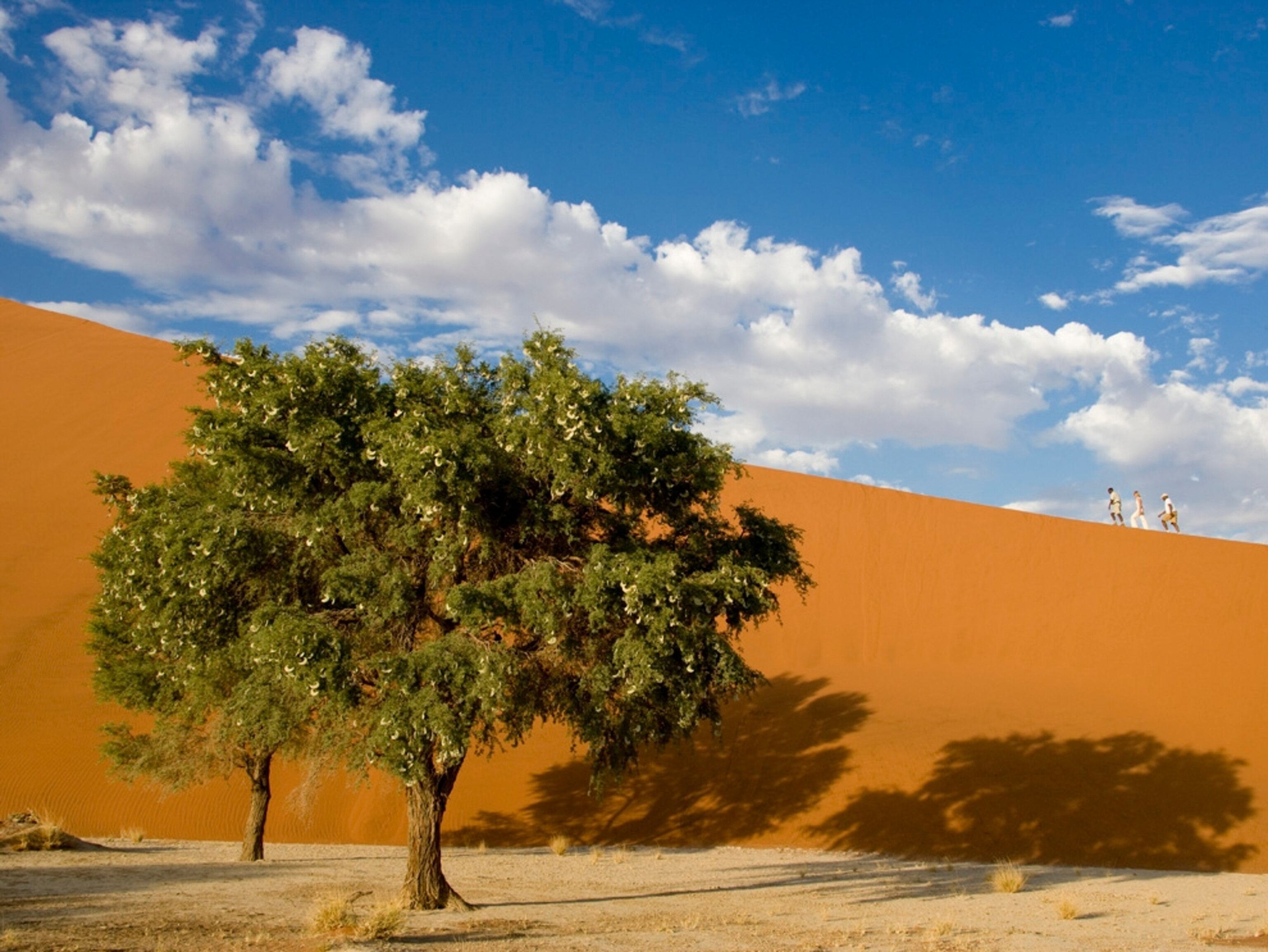 PHOTOS: Wild Africa Honored on World Environment Day -- National Geographic