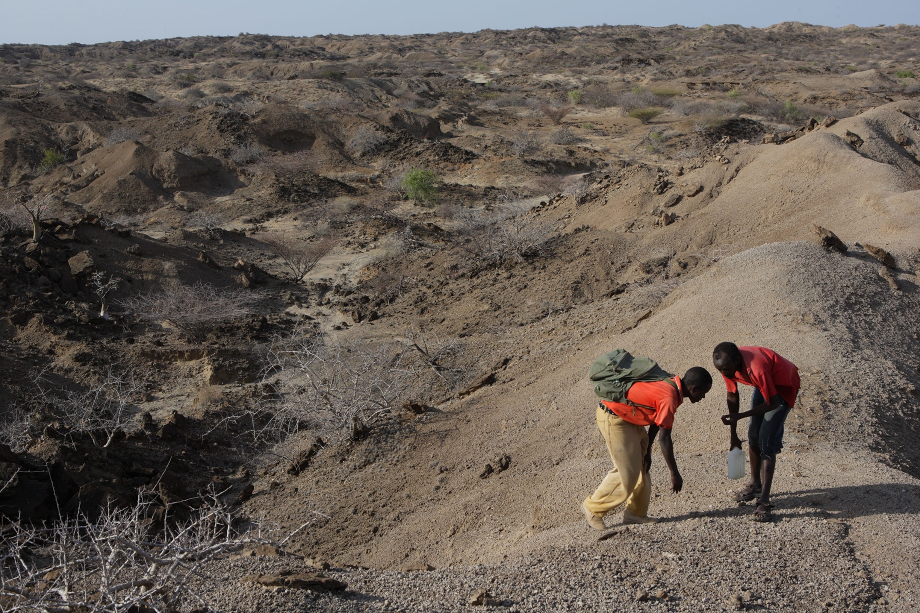 Where Is the Birthplace of Humankind? South Africa and East Africa Both ...