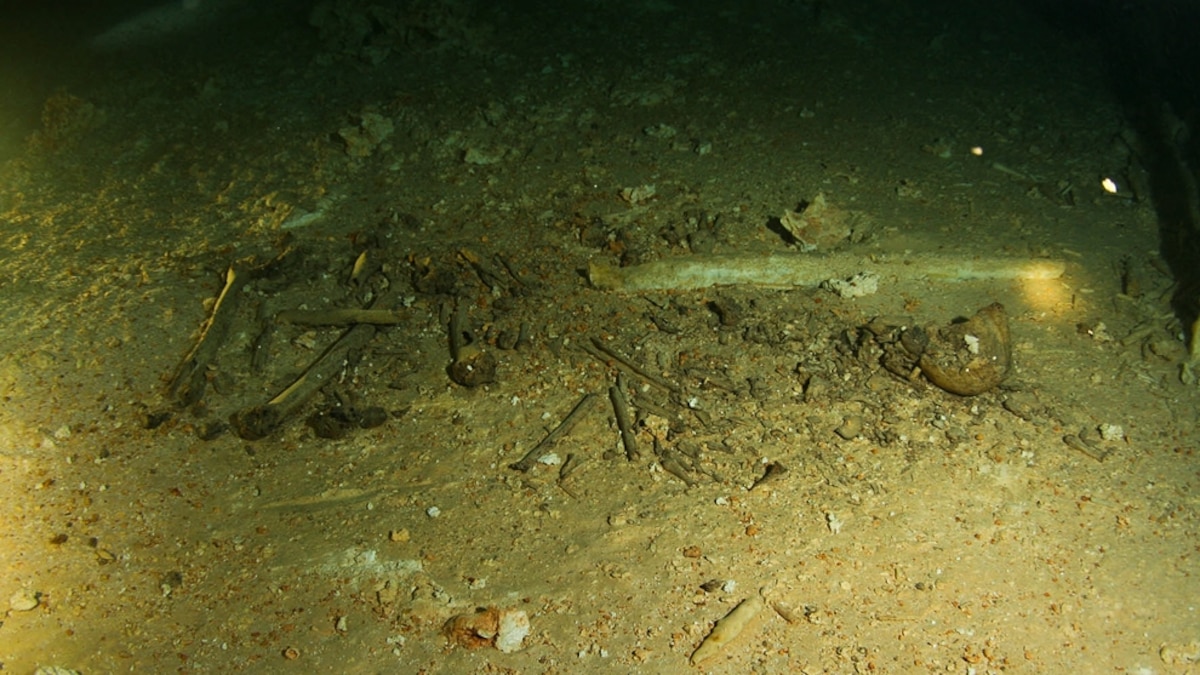 Undersea Cave Yields One of Oldest Skeletons in Americas | National ...