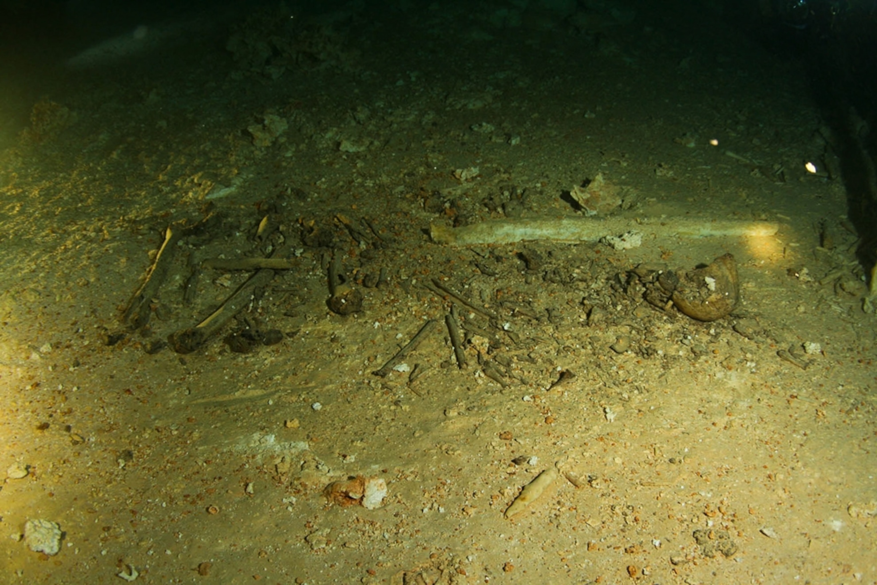 Undersea Cave Yields One of Oldest Skeletons in Americas