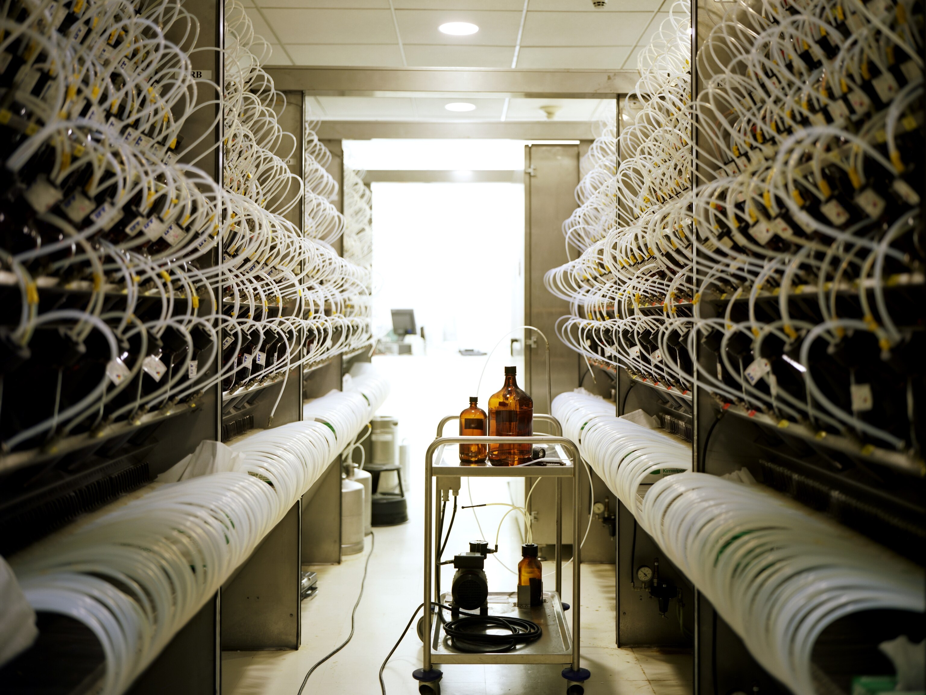 What’s that smell? It might just be the next big thing in travel.