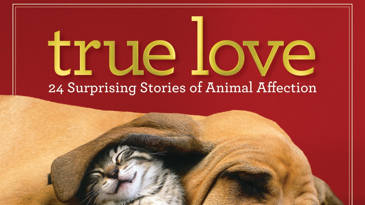 True Love: Surprising Photos of Animal Affection | National Geographic