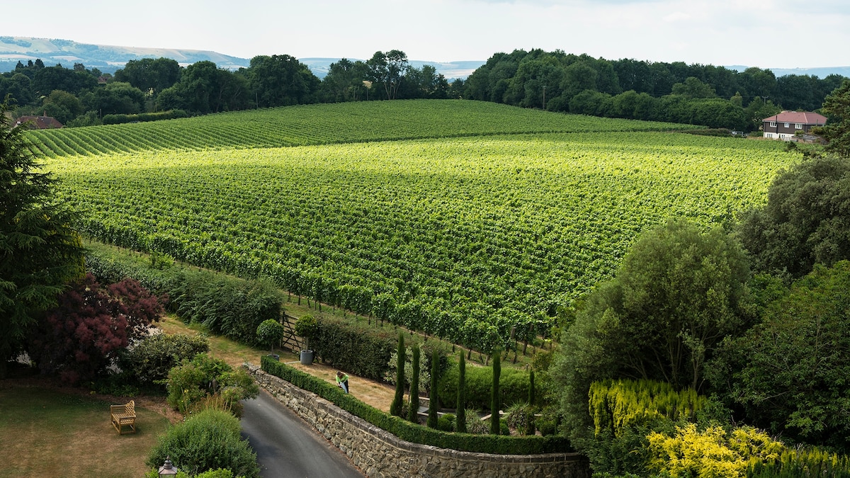 Discover the sparkling wine from England that tastes like champagne ...