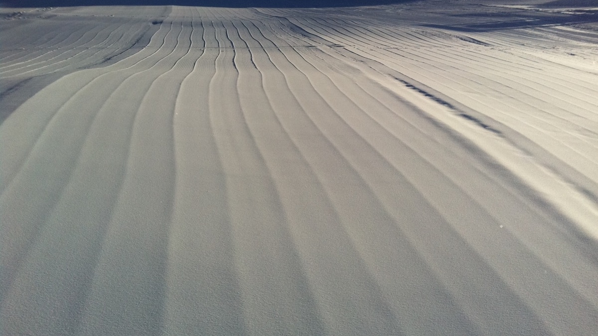 Corduroy | National Geographic