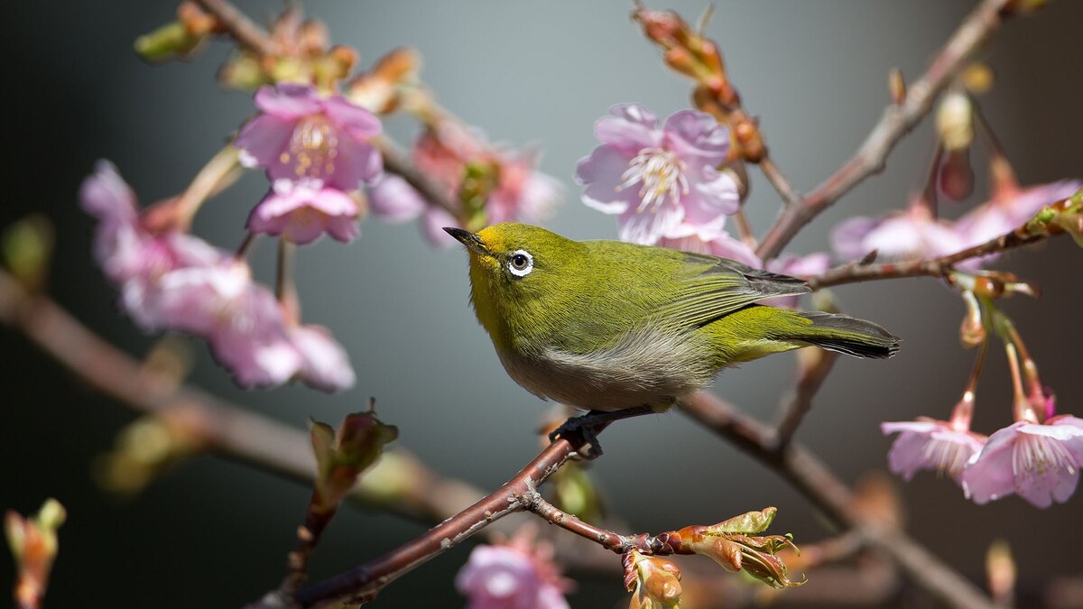 Photo of the Day: Best of April 2014 | National Geographic