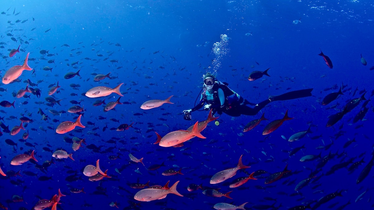 Essential Travel Tips From National Geographic Explorer Jessica Cramp