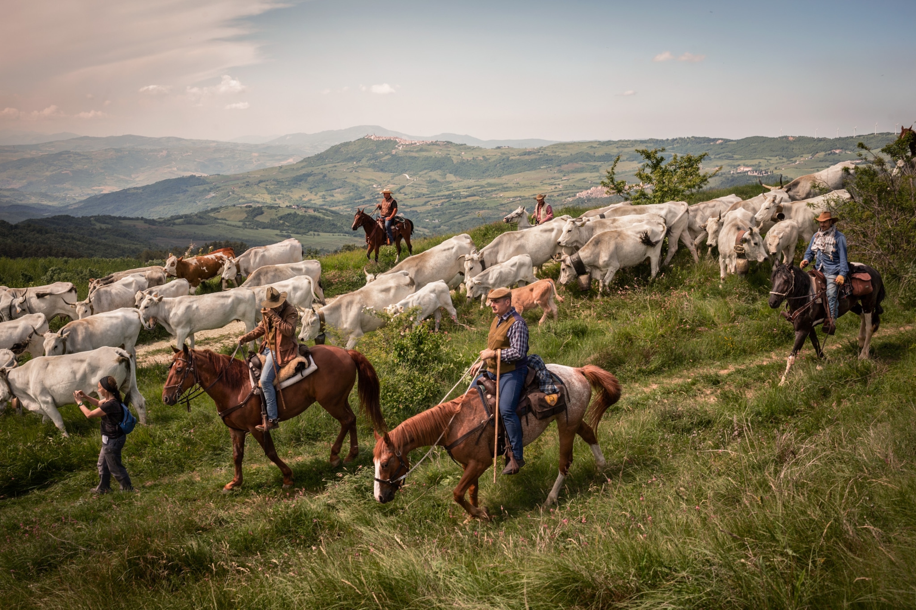 What you learn when you follow the herd in Italy