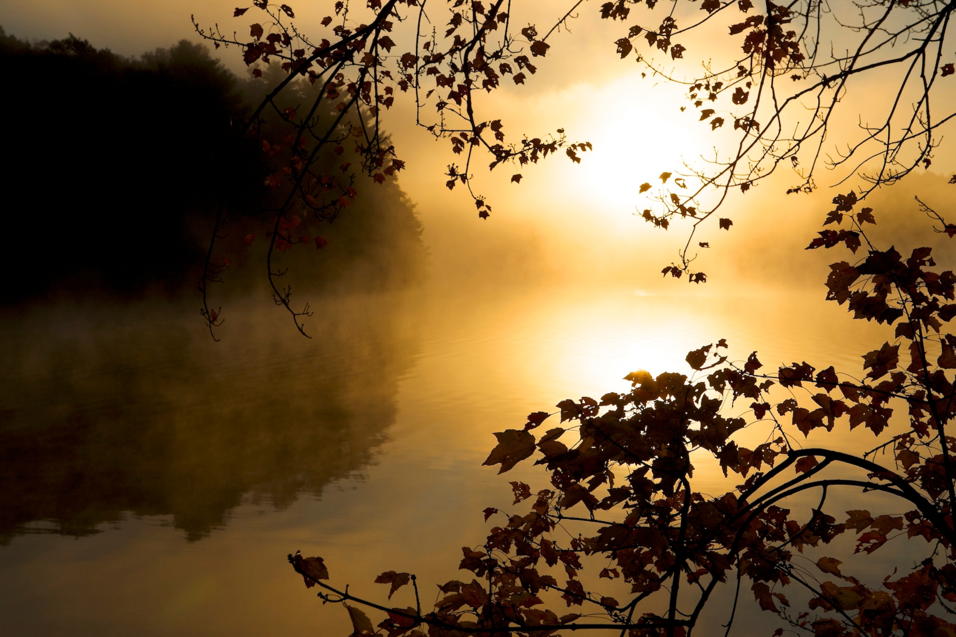 See Why Thoreau's Walden Still Inspires