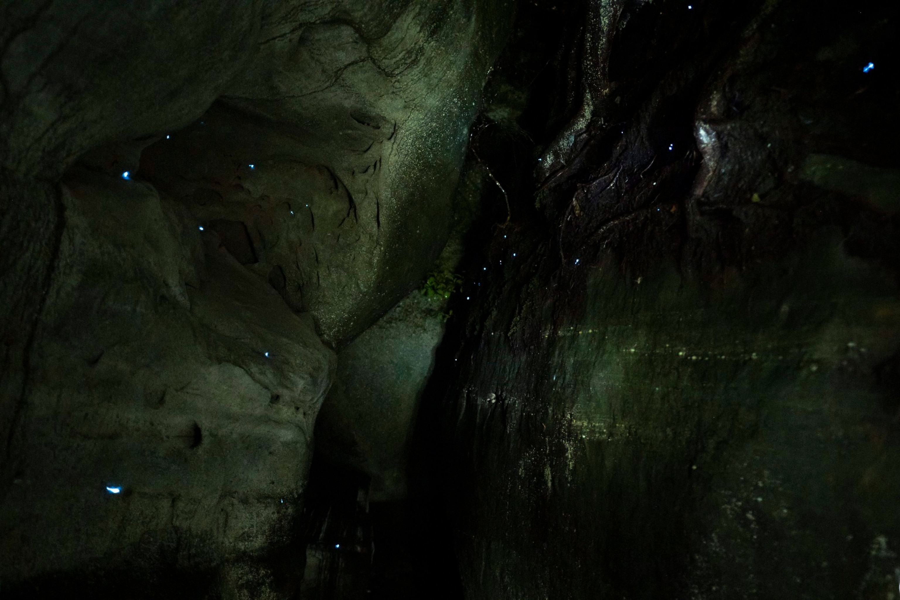 See glowworms give a dazzling show at this national landmark