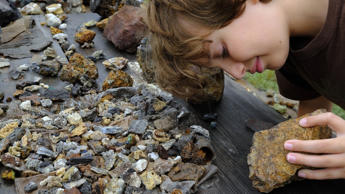 Your guide to a rock-collecting adventure with kids | National Geographic