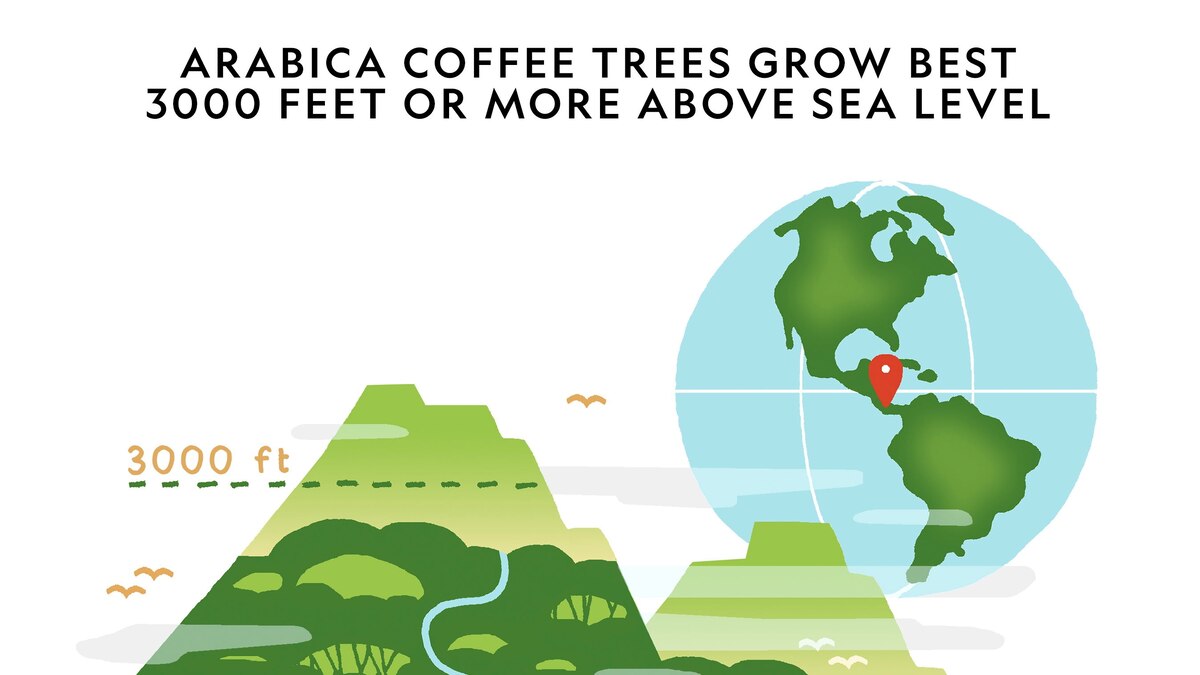 A Costa Rican coffee farmer is taking steps toward total sustainability ...