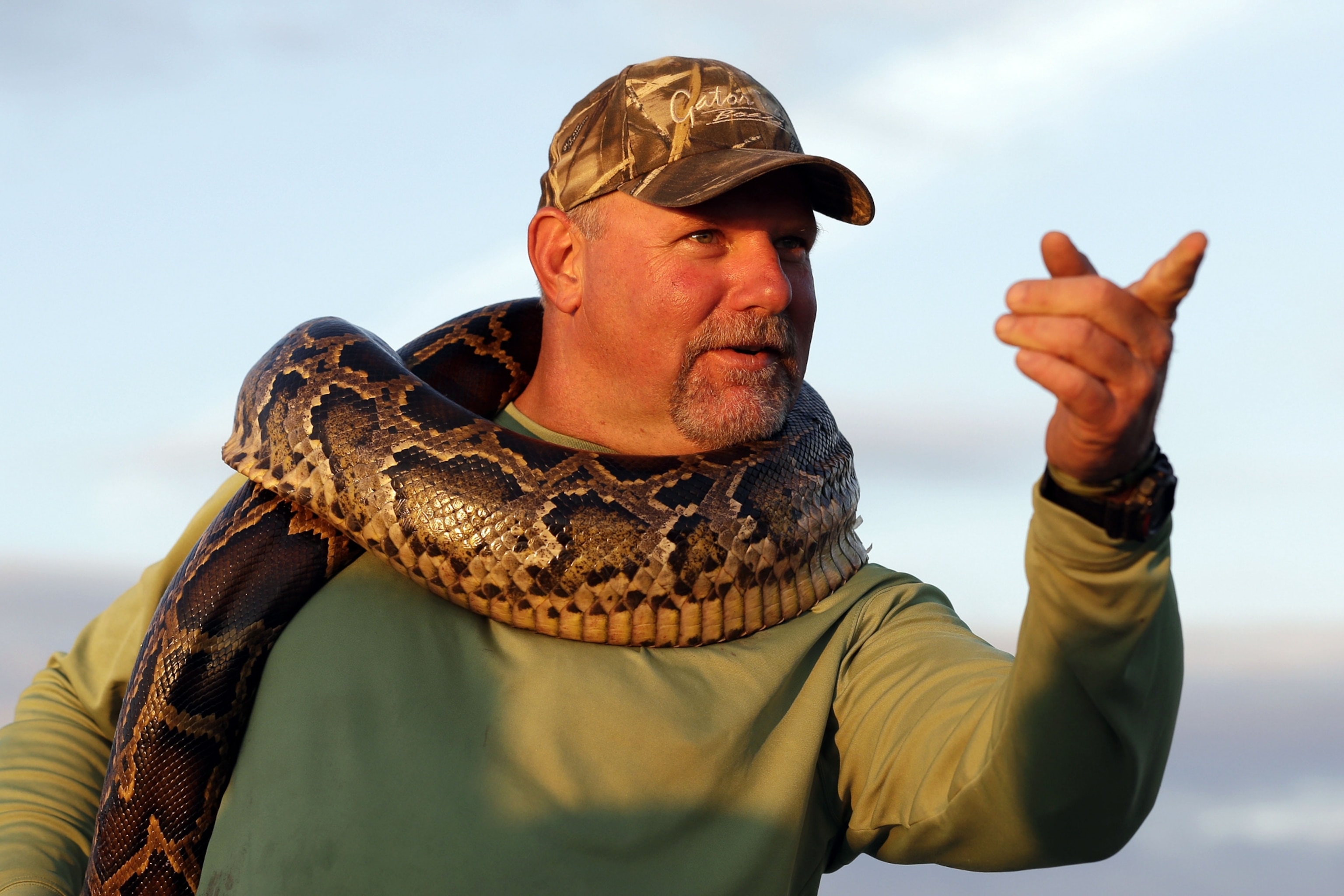 Opinion: Florida’s Great Snake Hunt Is a Cheap Stunt