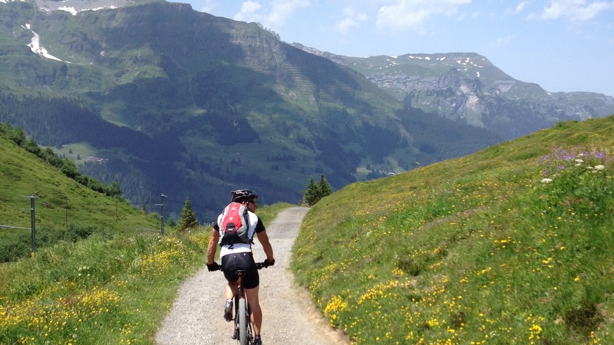 The “Interlaken Seven” Adrenaline Sports Challenge | National Geographic