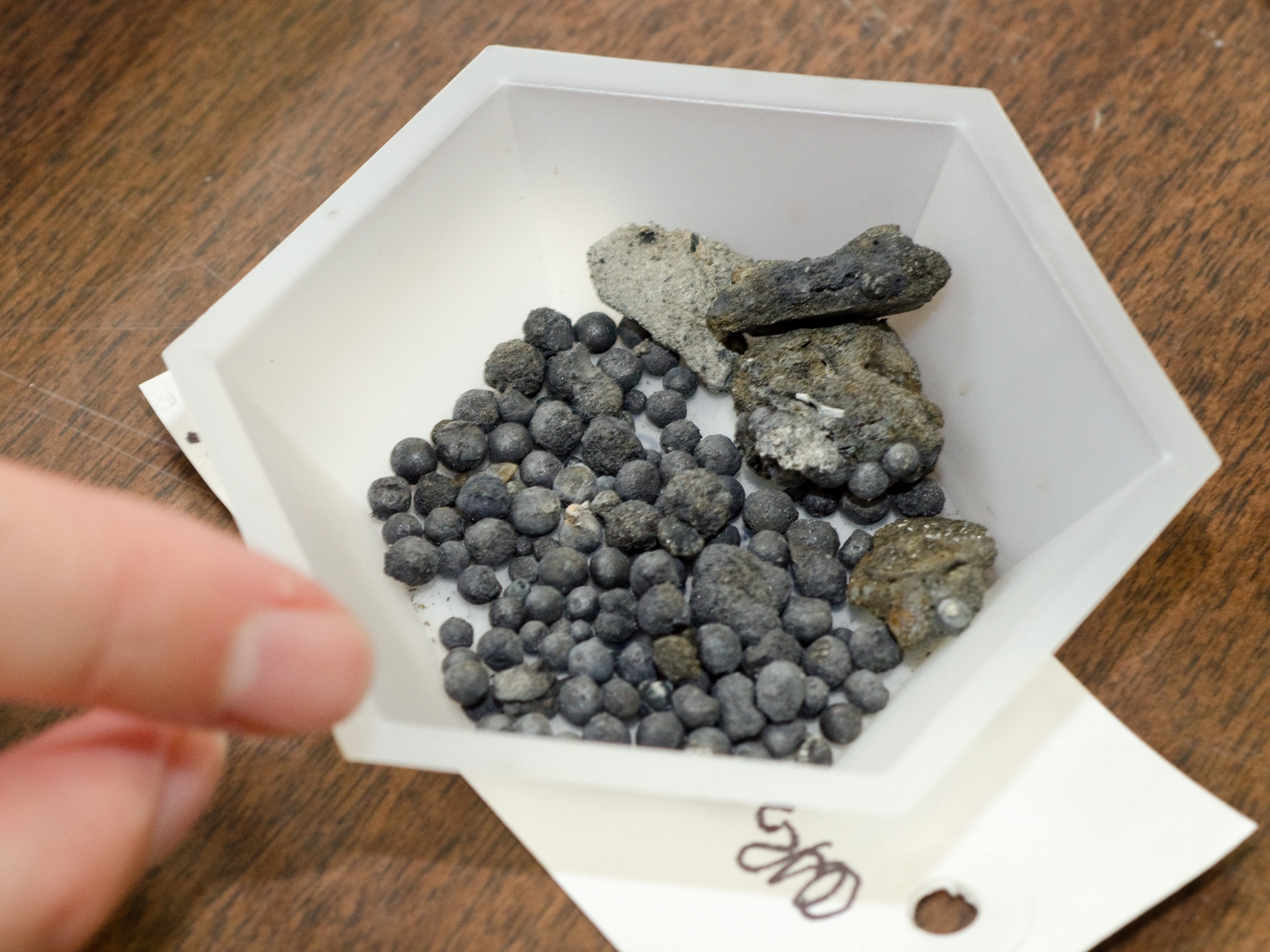 Pictures: Slave Shackle, More Found On Blackbeard's Ship