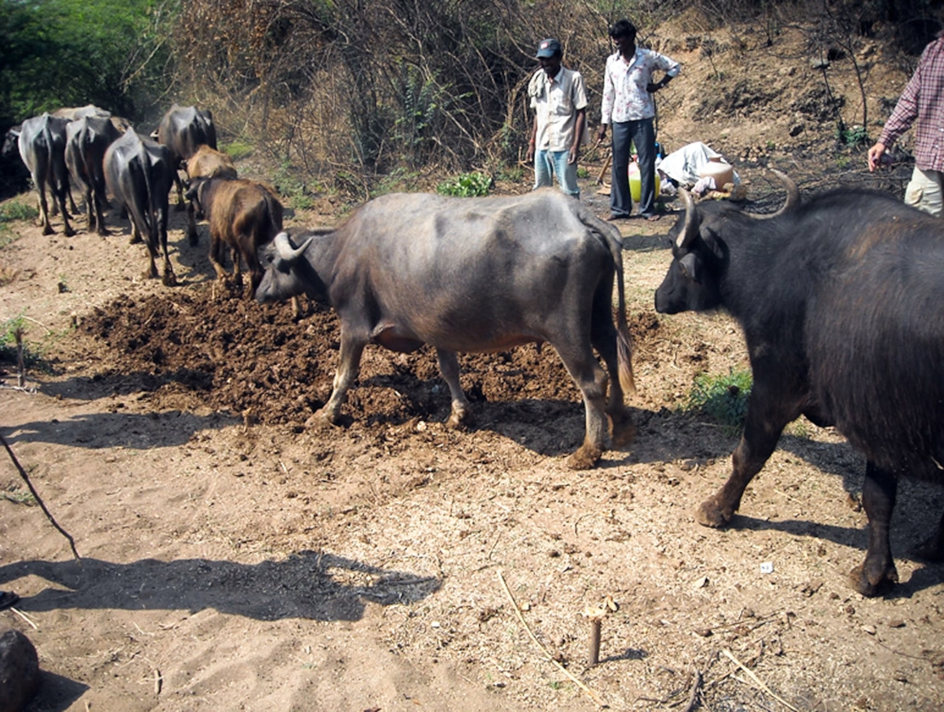 Trampling Skews Artifact Dates by Thousands of Years? | National Geographic