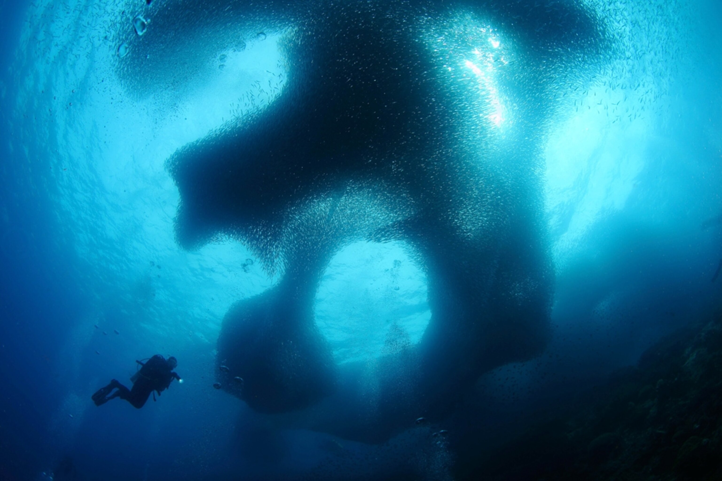 Pictures We Love: Best of August | National Geographic