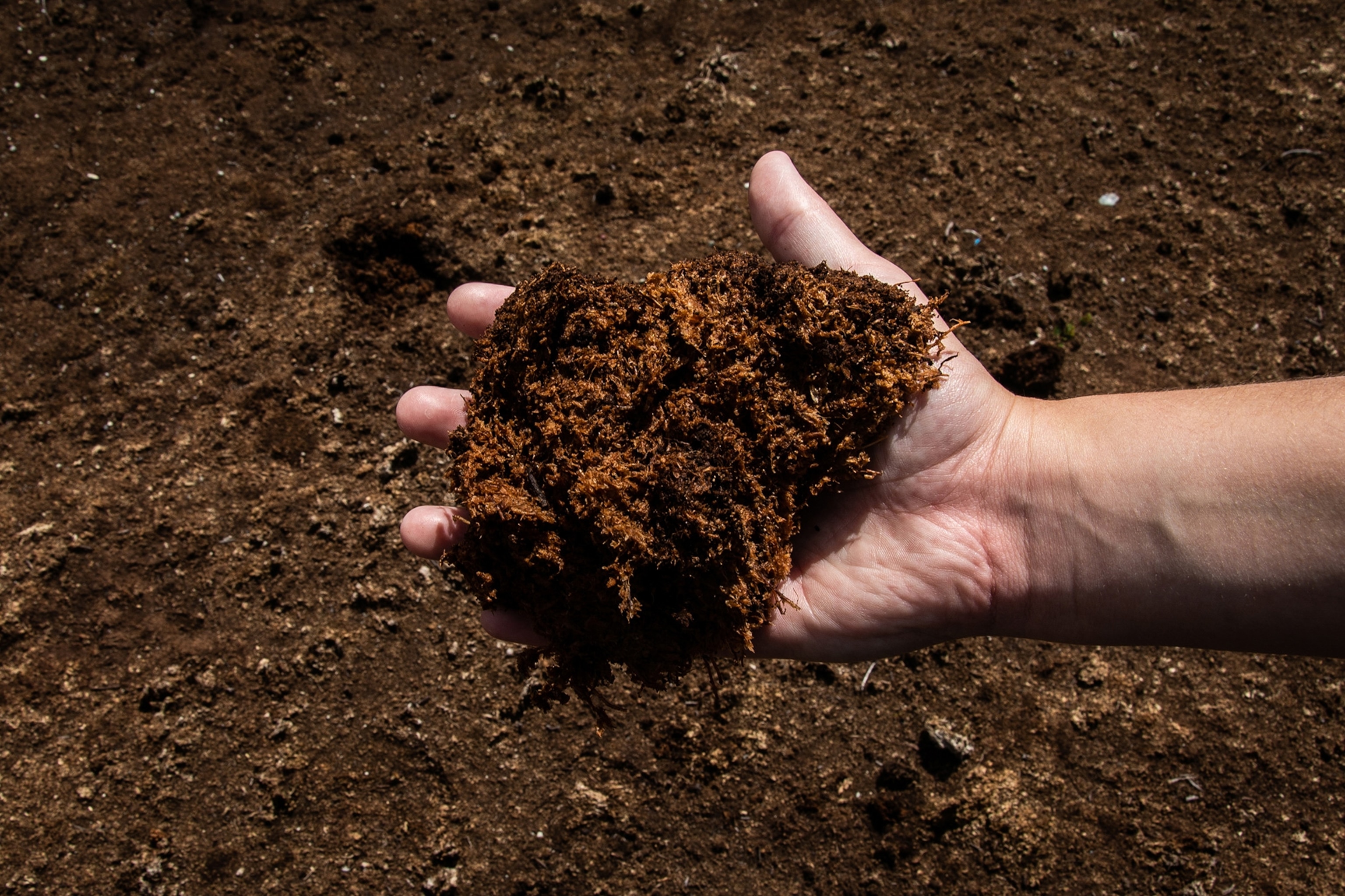 In Argentina’s ‘Land of Fire,’ photos reveal the beauty of bogs
