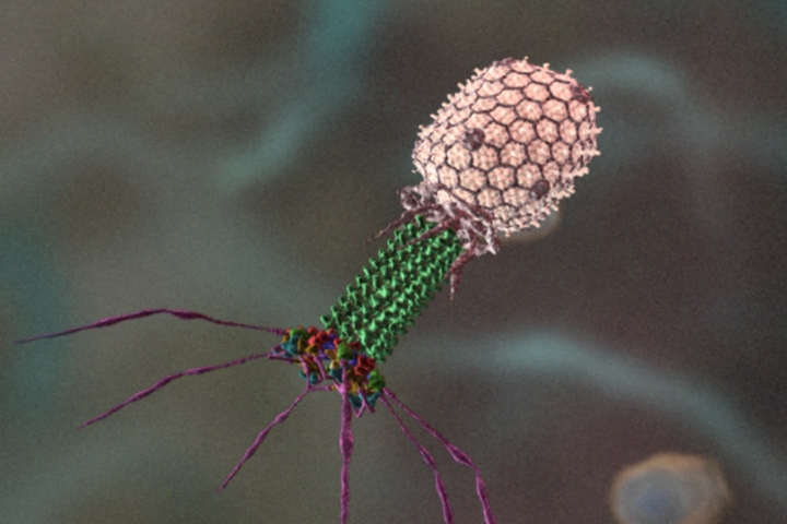 Why Has This Really Common Virus Only Just Been Discovered Why Has This Really Common Virus Only Just Been Discovered