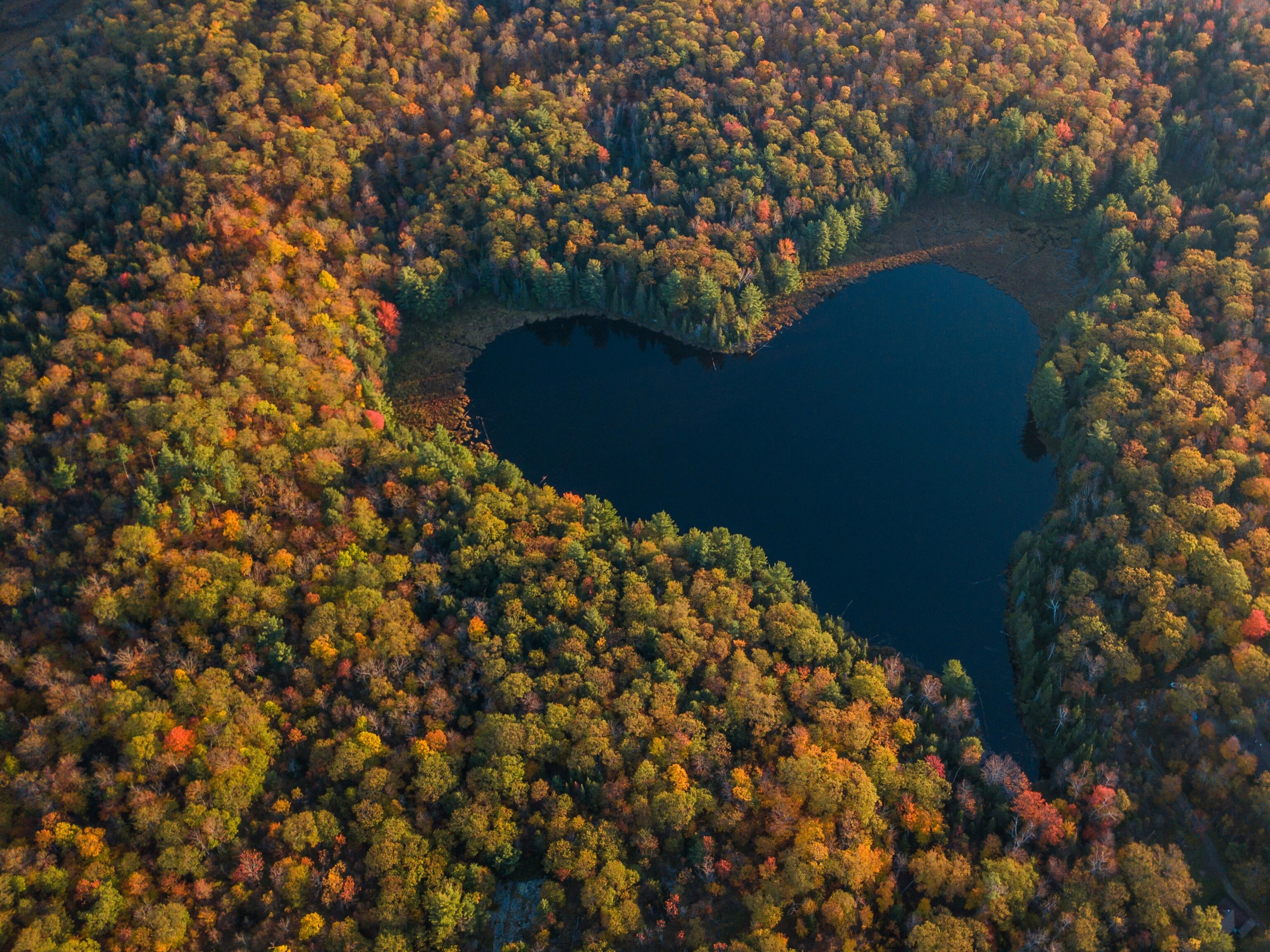 These are the 7 best fall festivals in the United States