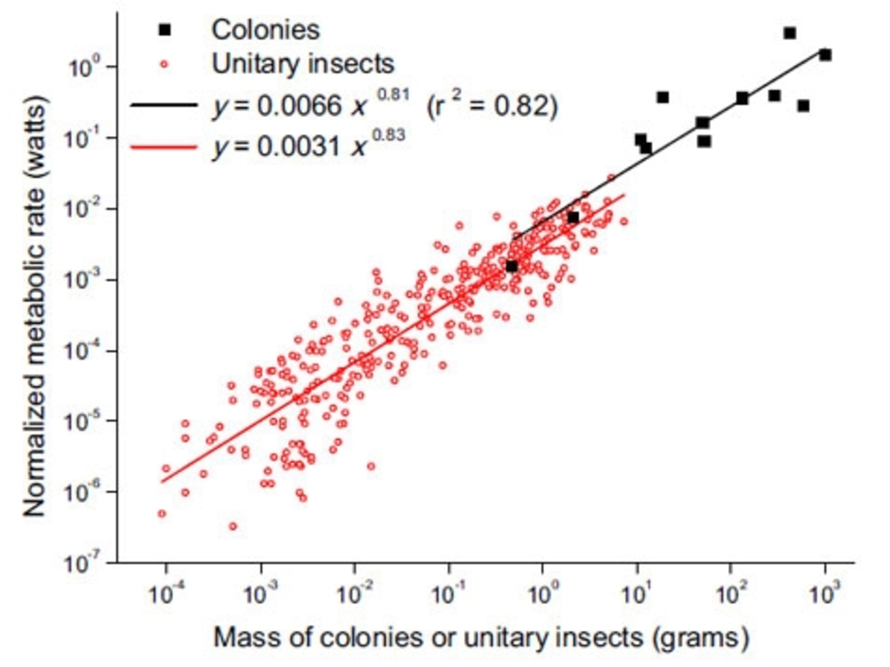 Mathematical support for insect colonies as superorganisms