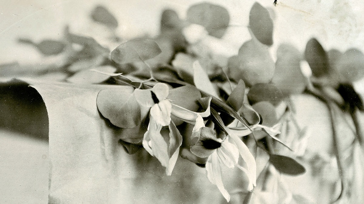 The Magical Alchemy of Wet Plate Photography | National Geographic