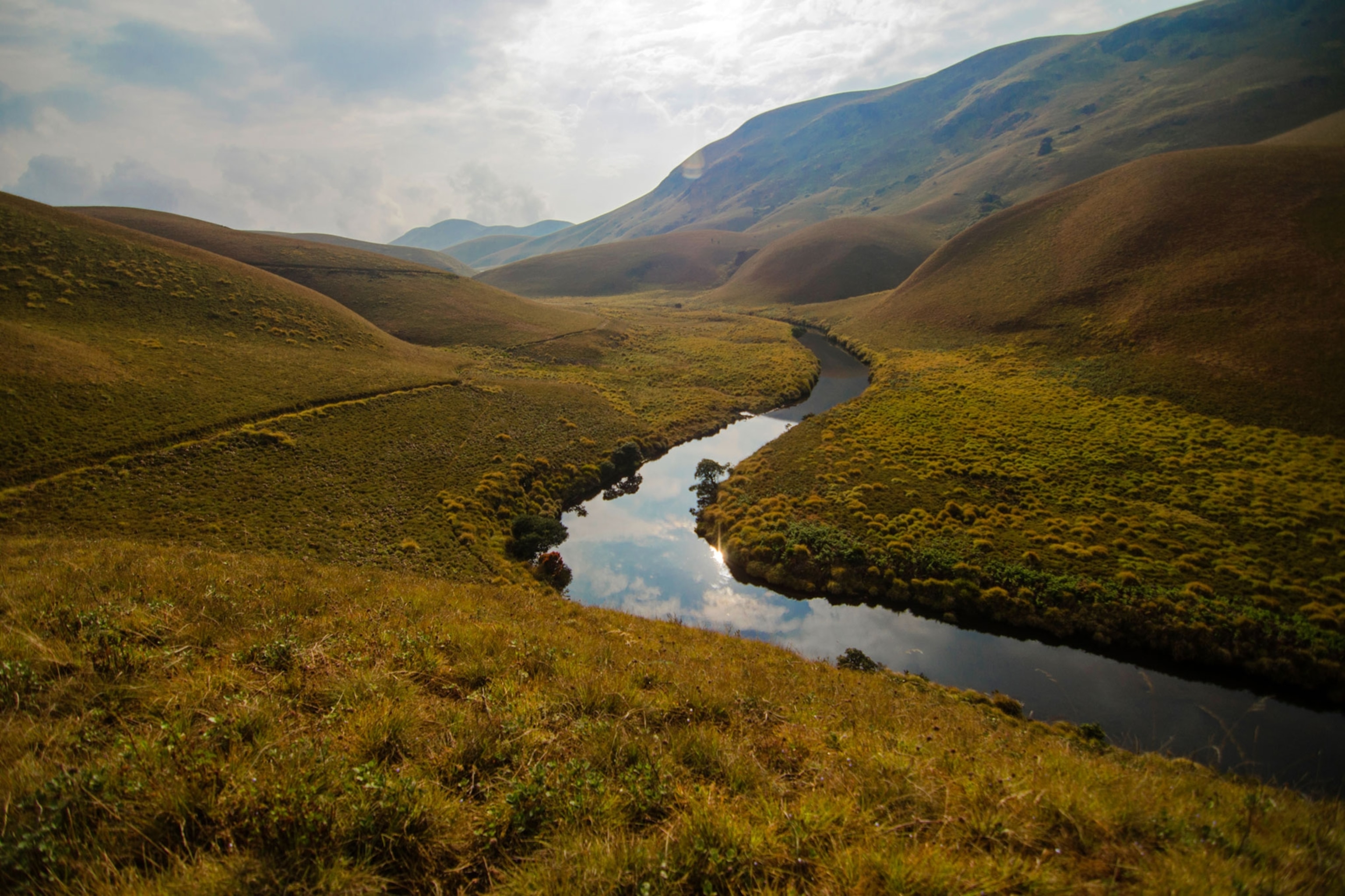 Breathtaking ‘Sky Islands’ Showcase Evolution in Action