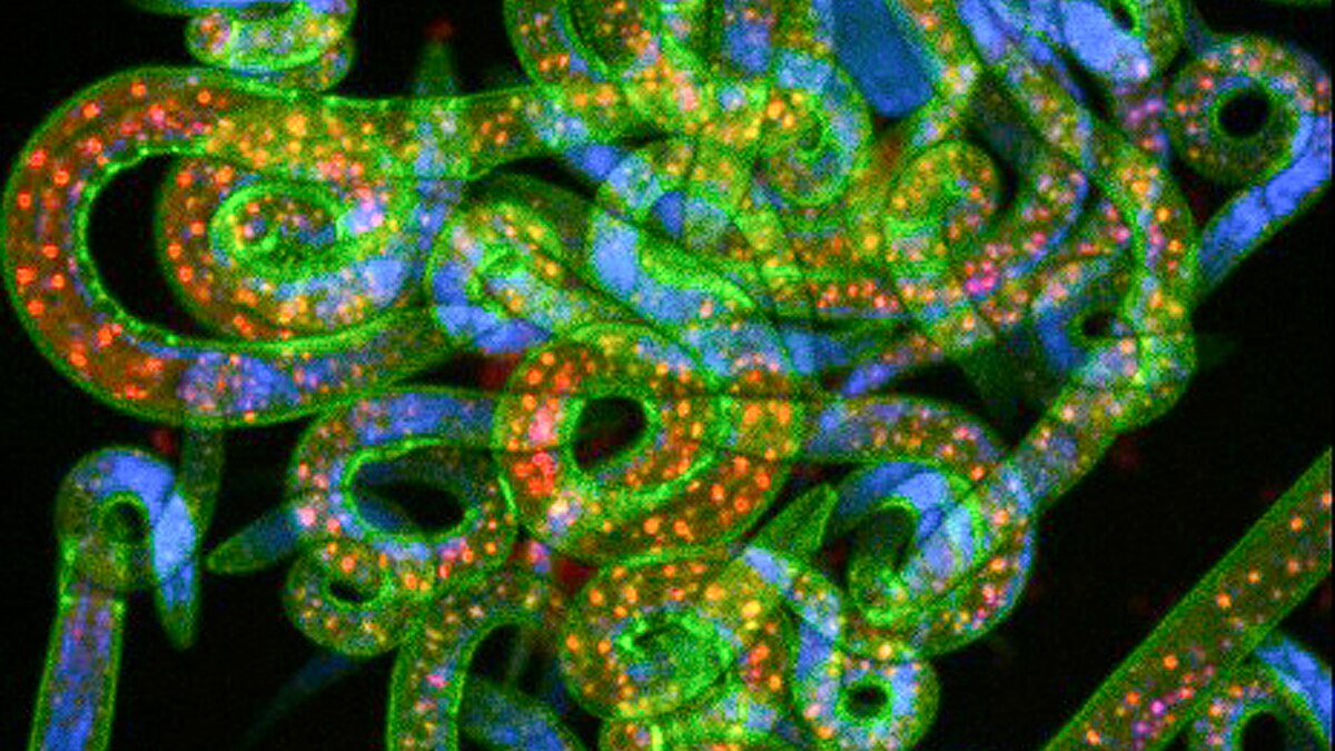 6 Amazing Science Pictures | National Geographic