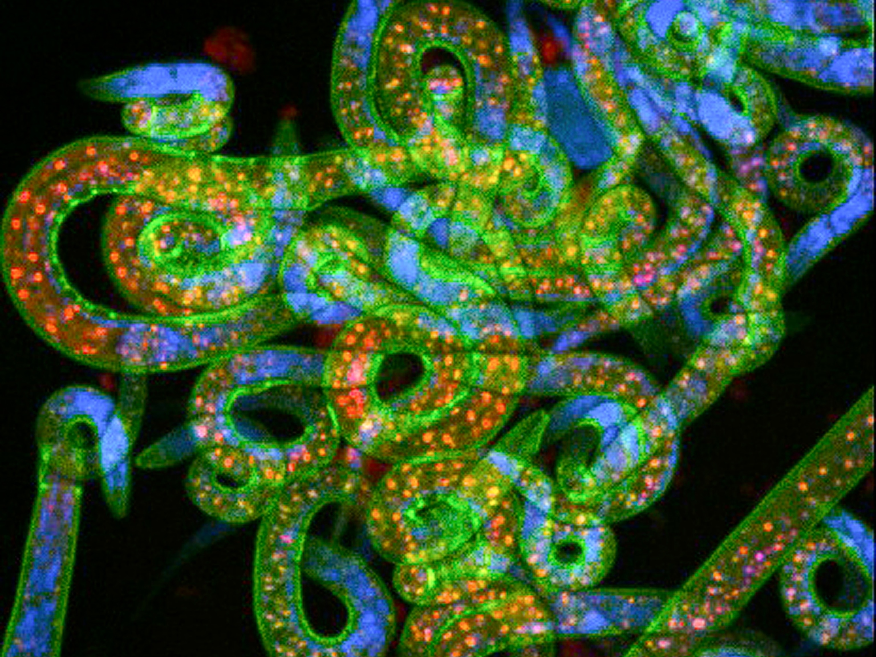 6 Amazing Science Pictures