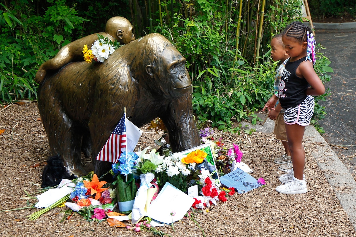 Animal attacks are scary. Here's how to talk to kids about them.