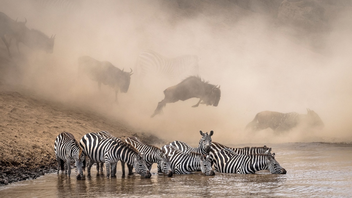 See the top 10 pictures from the Nat Geo 100 Million Instagram contest ...