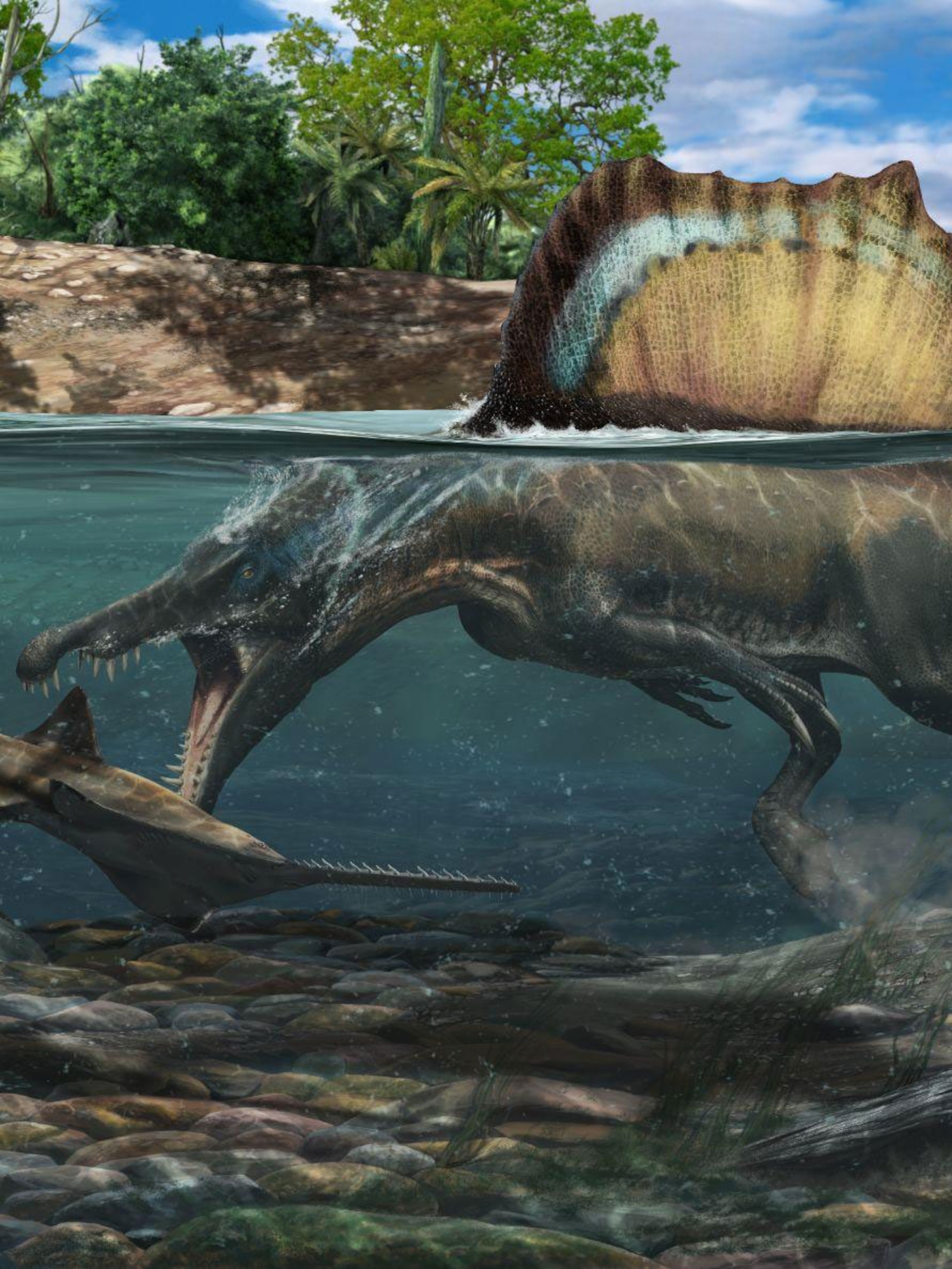 Tyrannosaurus Rex Vs Spinosaurus Aegyptiacus