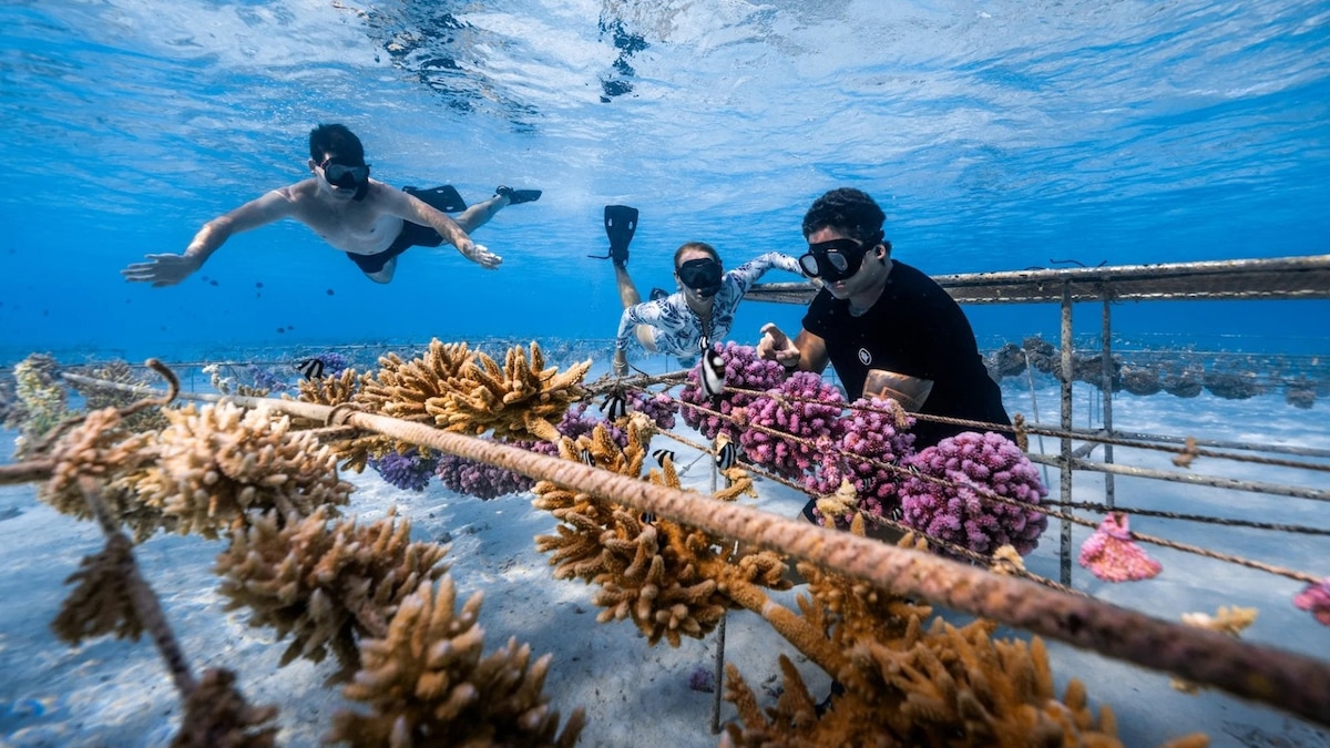 The world's best conservation projects worth travelling for | National ...